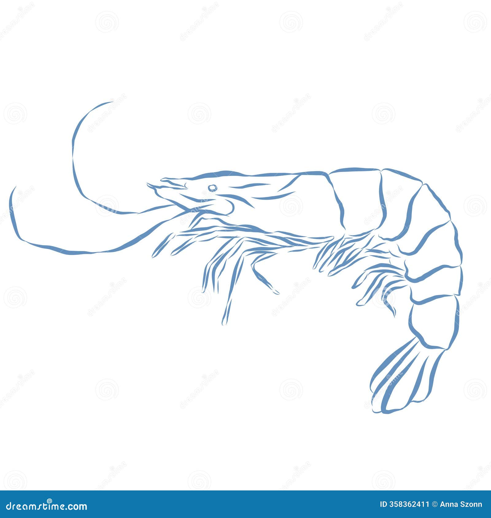 Line Art Illustration Of Prawn. Vector Royalty-Free Stock Photo ...