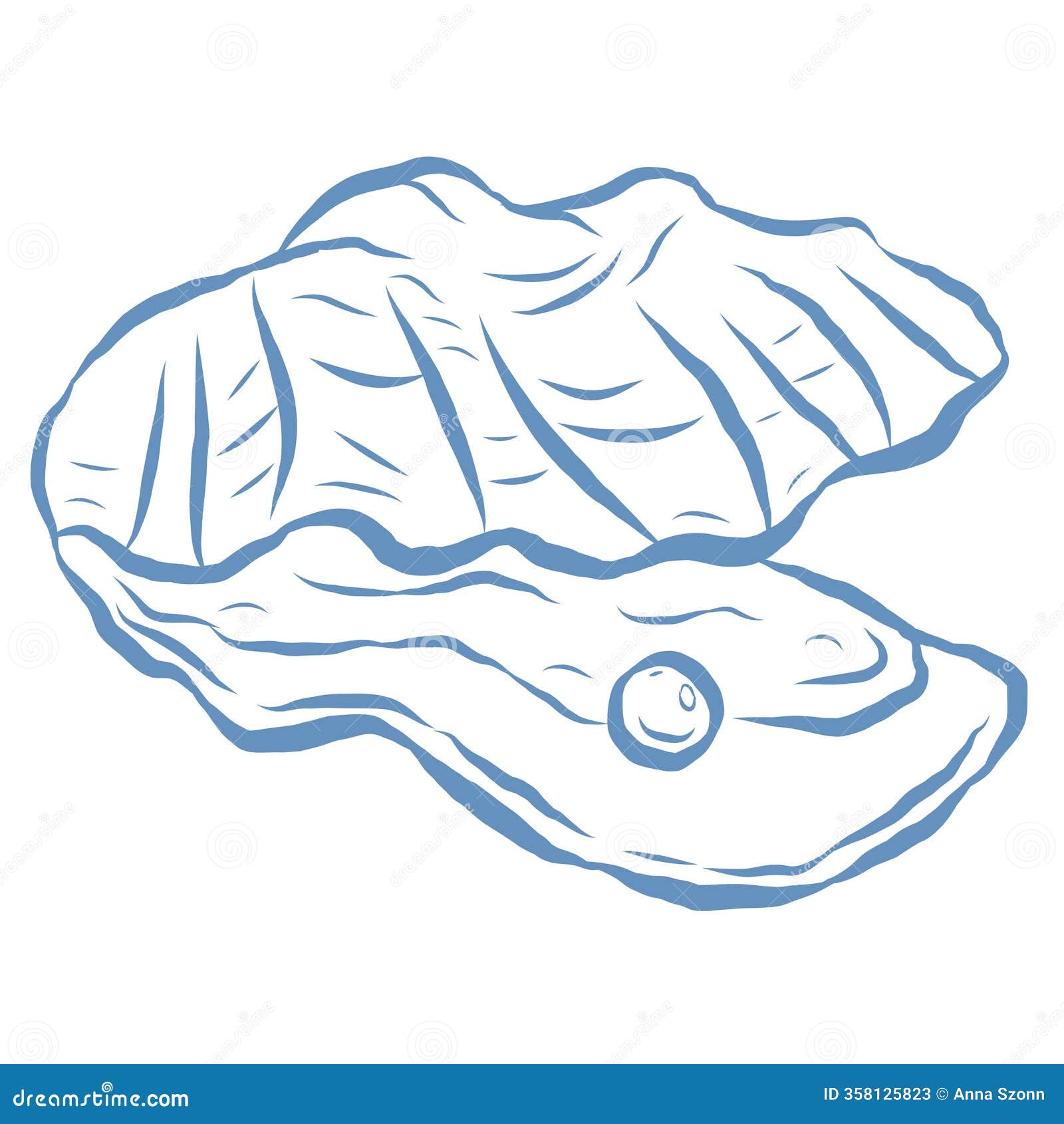 Clam Shell Vector Illustration On White Background | CartoonDealer.com ...
