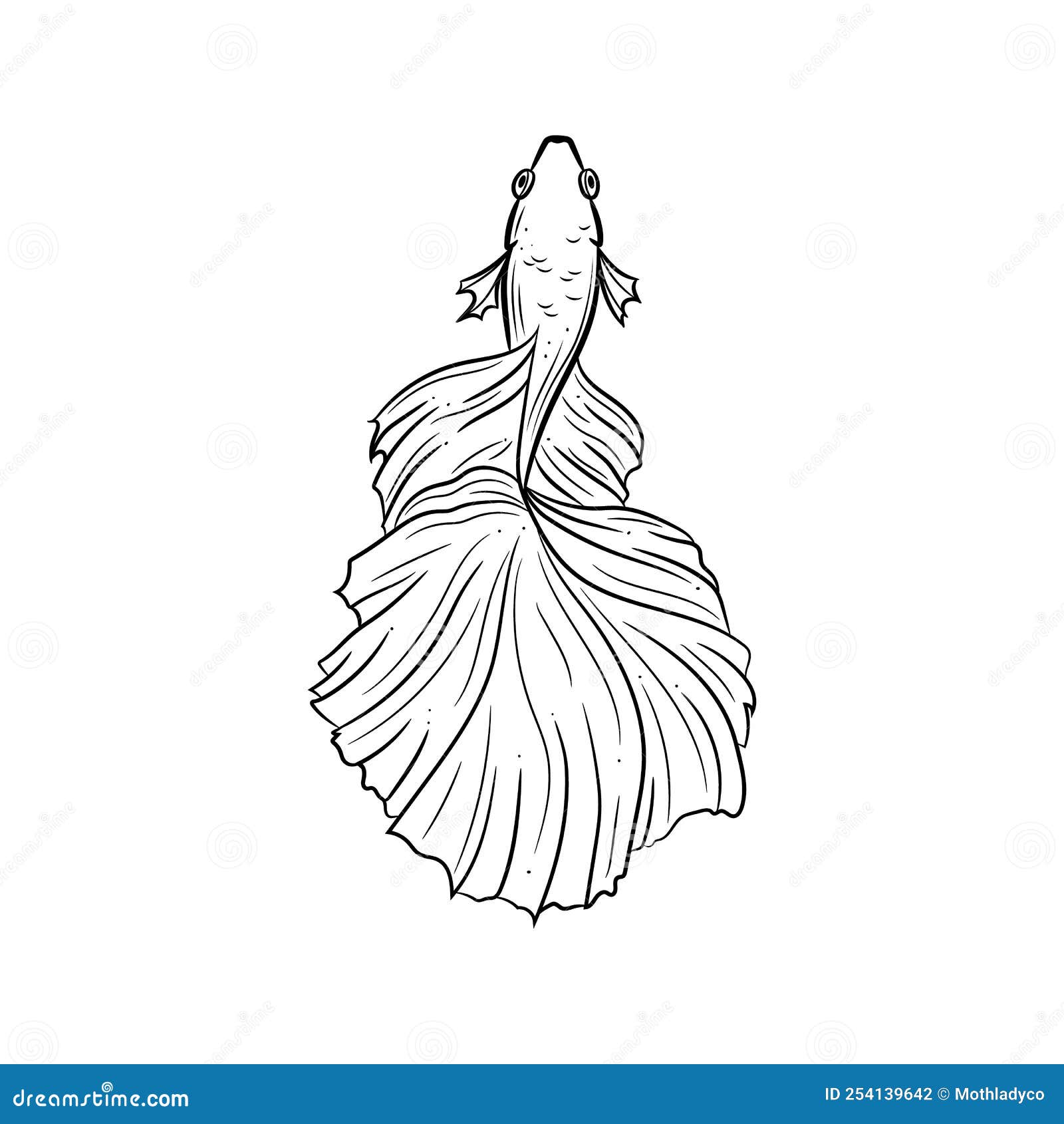 Line Art Illustration of a Siamese Fighting Fish Also Known As Betta ... Line Art Illustration of a Siamese Fighting Fish Also Known As Betta ...