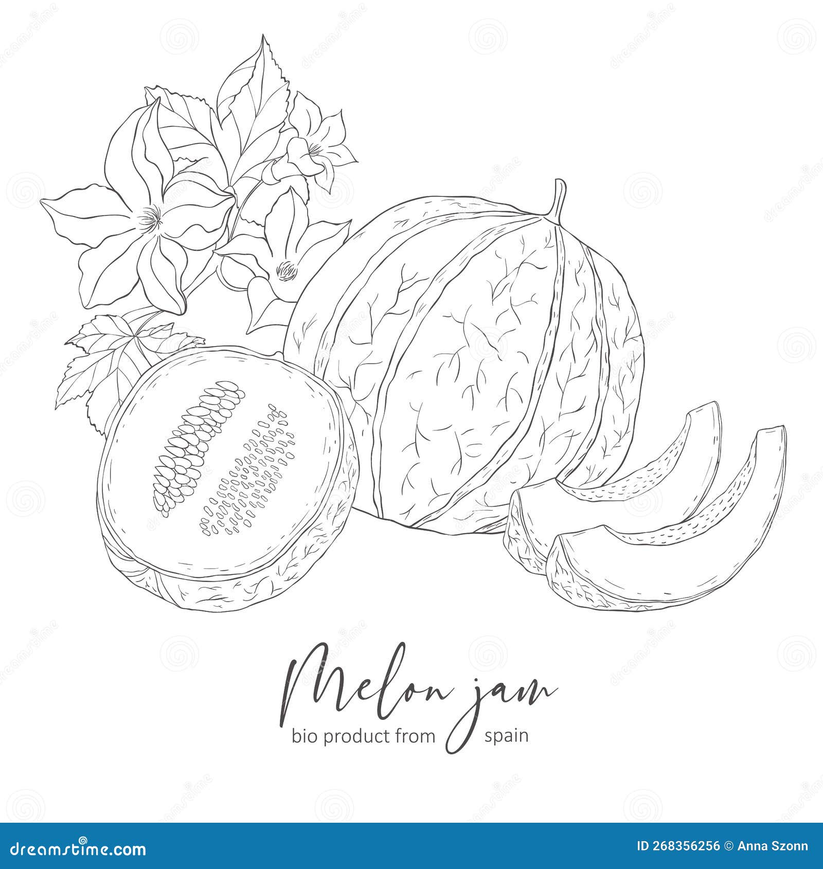 Line Art Melon Label. Elements of Fruits and Flowers Stock Illustration ...