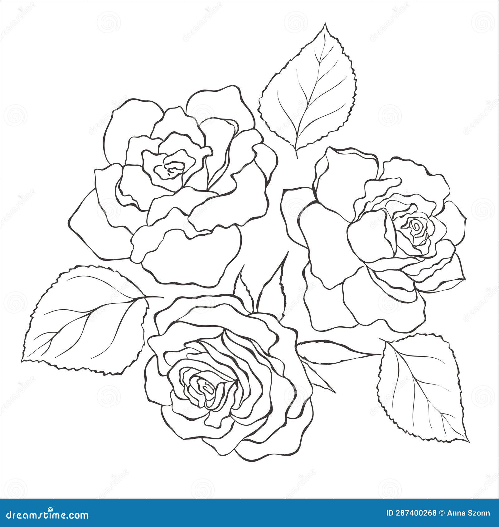 Line Art Rose Flowers on the White Background. Stock Illustration ...