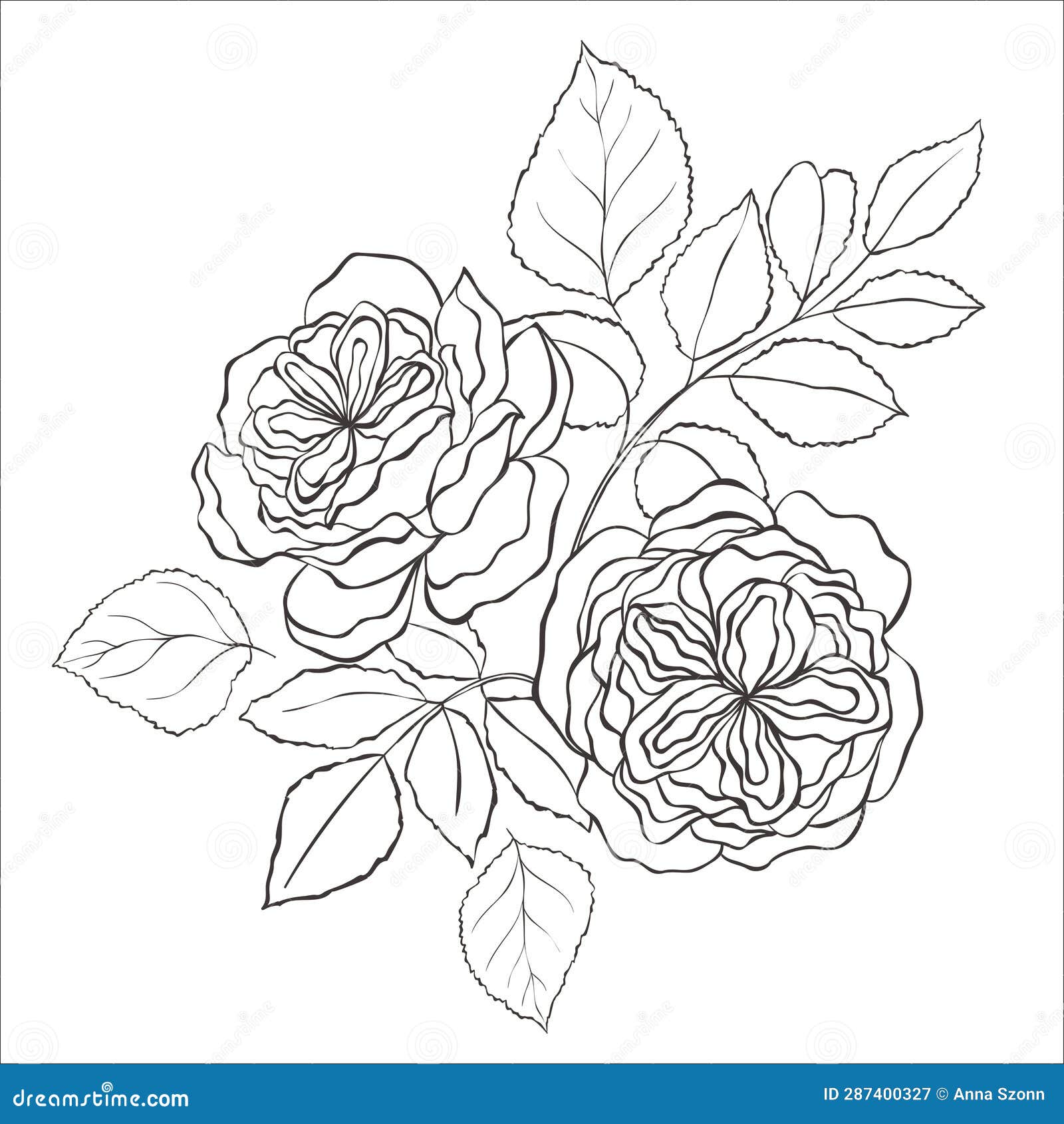 Line Art Rose Flowers on the White Background. Stock Illustration ...