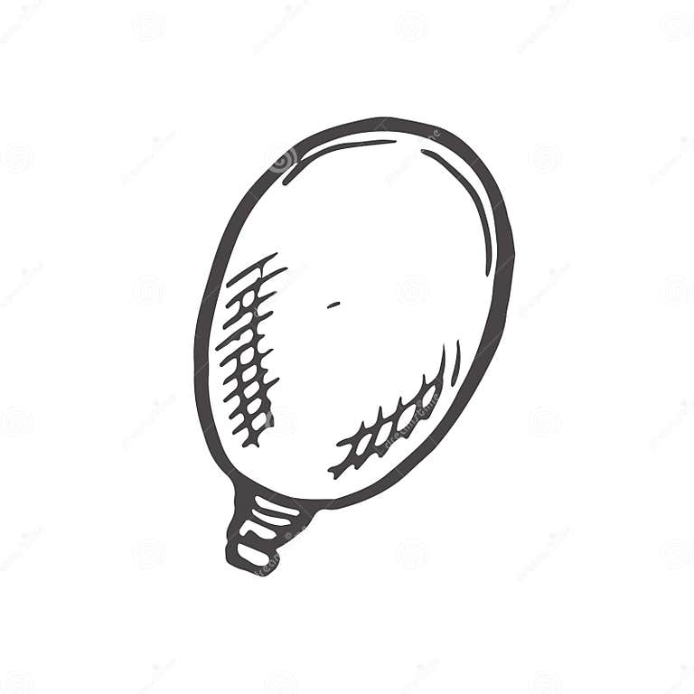 Line Art Single Grape Illustration Stock Illustration - Illustration of ...