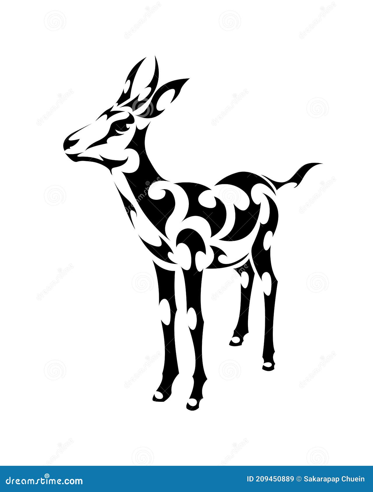 Line Art Vector of Springbok is Standing Stock Vector - Illustration of ...