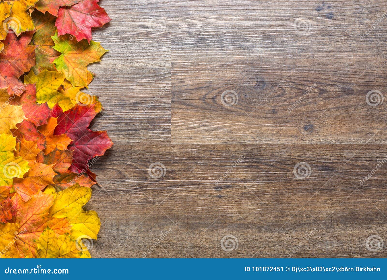 Line of Autumn Leaves on the Left on a Wooden Background Stock Image ...