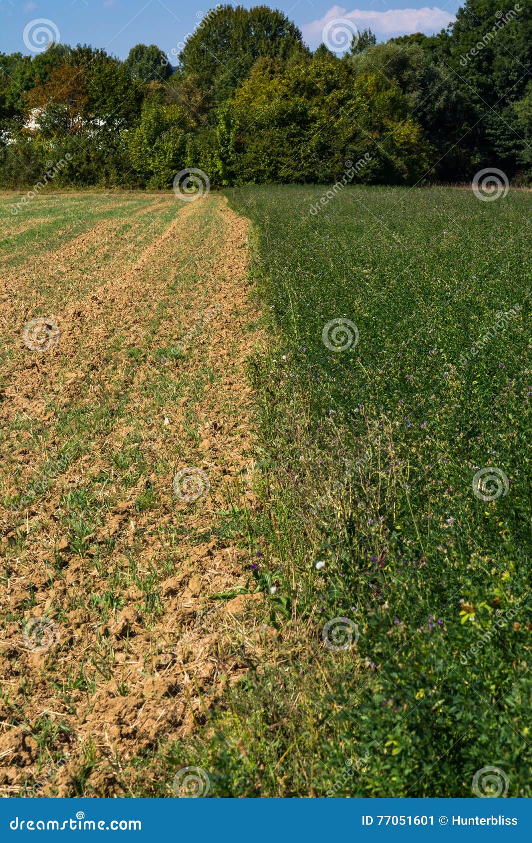 Line Of Border Royalty-Free Stock Image | CartoonDealer.com #80845984