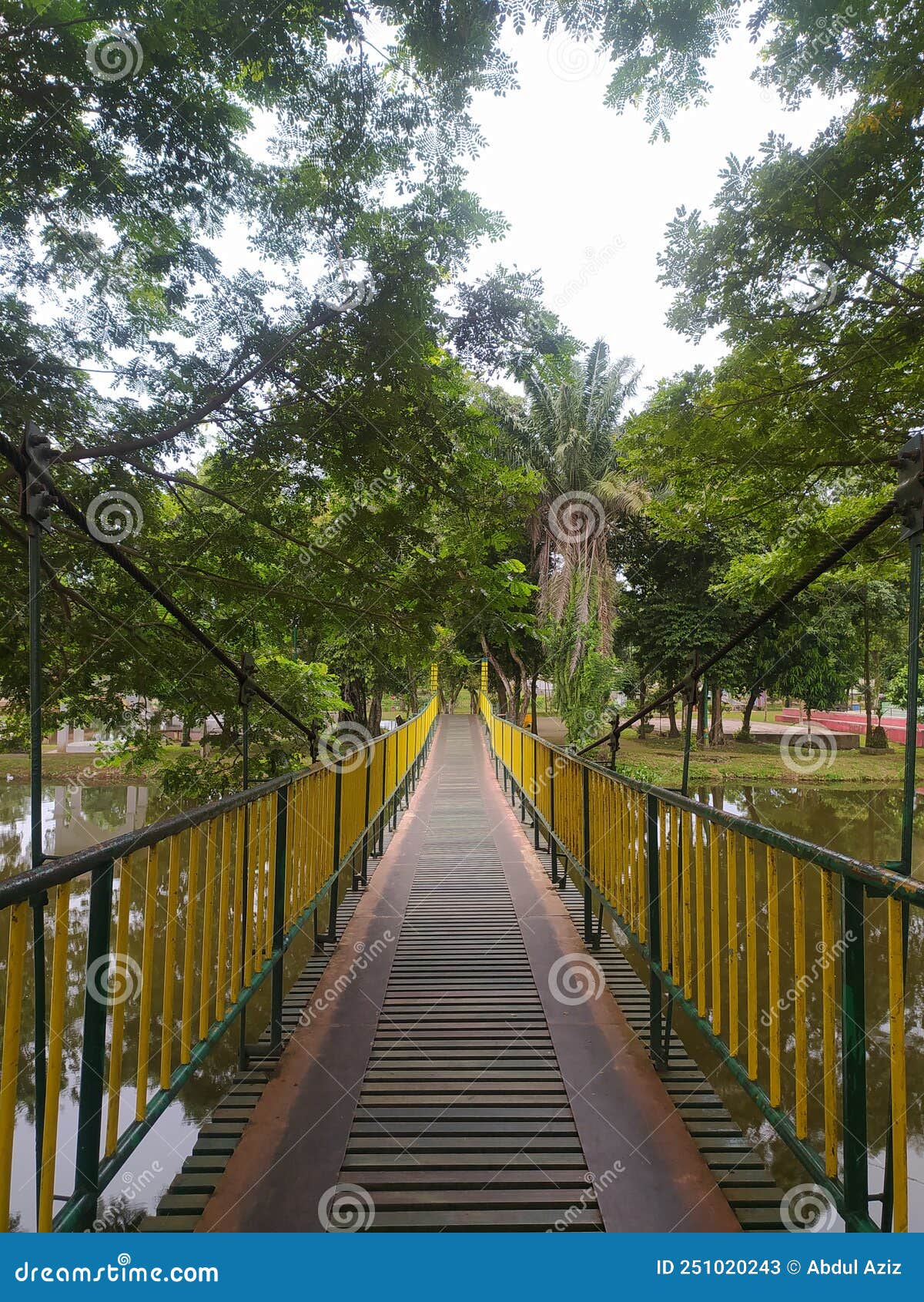 The Line of Bridge Around the Trees Park Stock Image - Image of canal ...