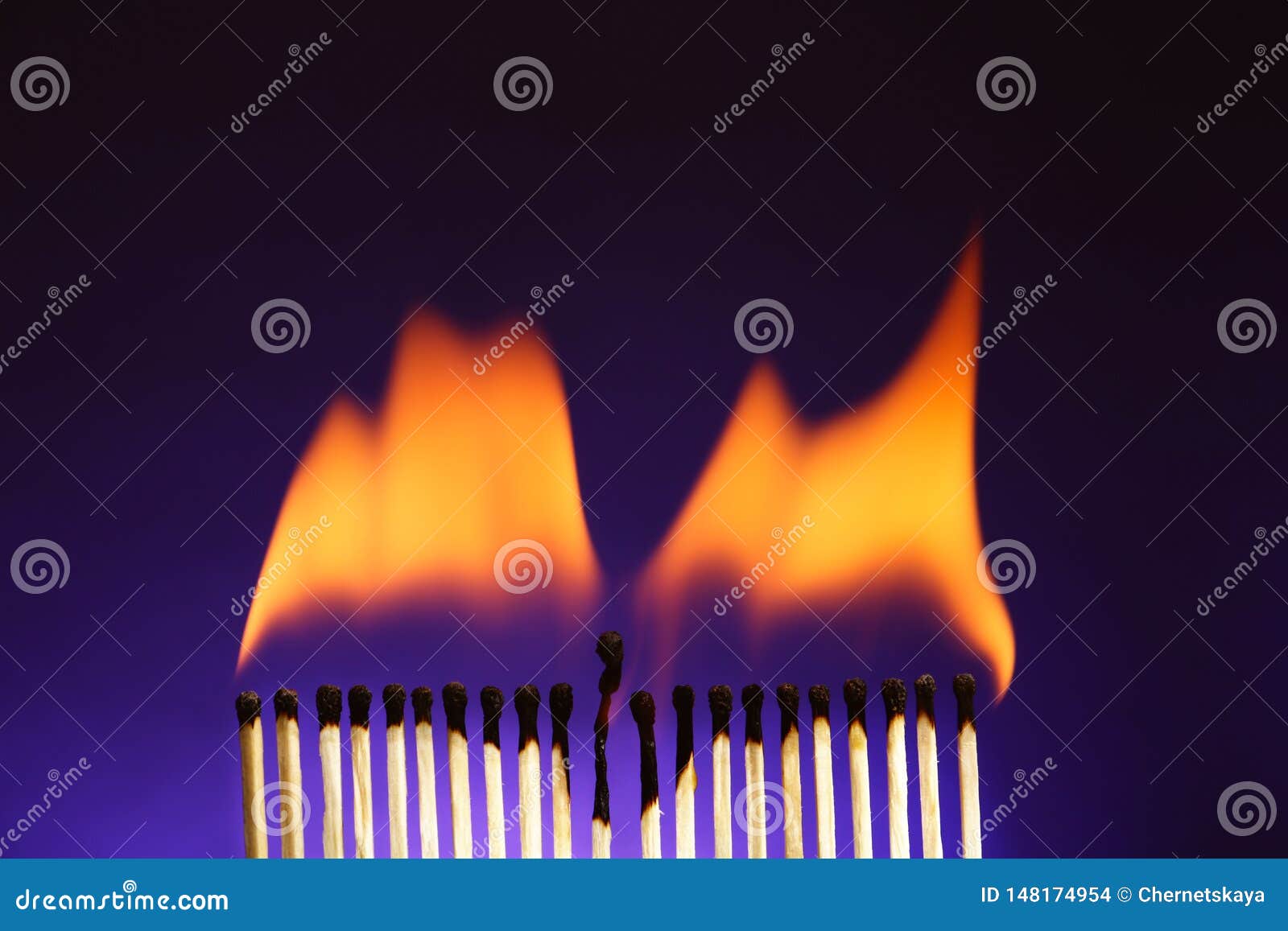 Line Of Matches Without Distance Where They Are Lit One By One ...