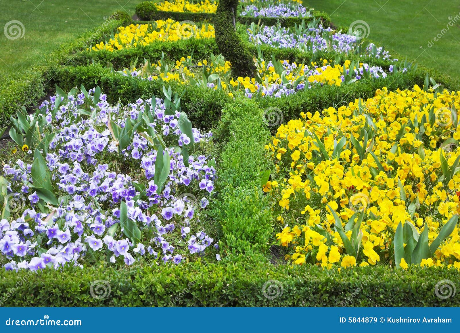 Line from Bushes and Flower Stock Image - Image of garden, green: 5844879