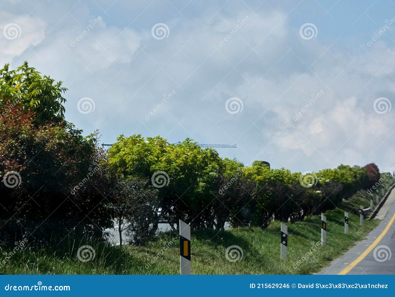 Line of Bushes in a Highway Stock Photo - Image of formed, middle ...