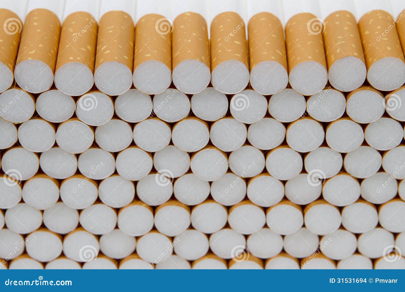 Line of Cigarettes 1 stock photo. Image of asthma, company - 31531694