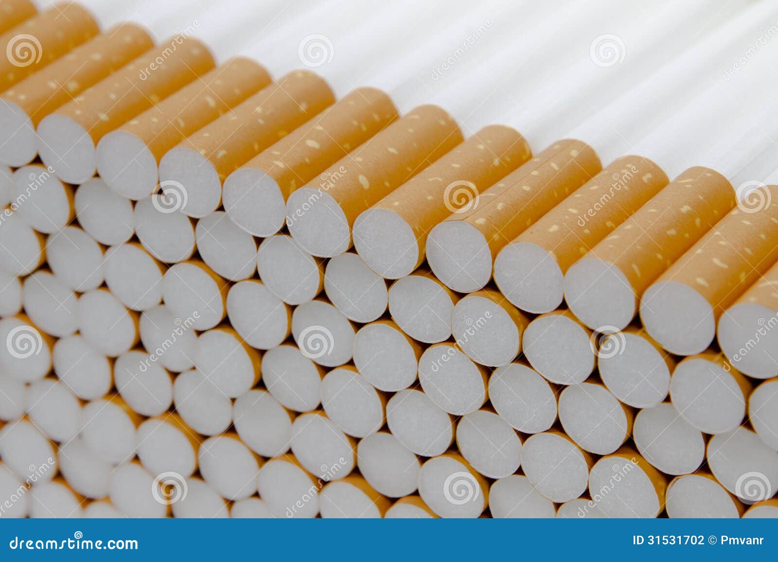 Line of Cigarettes 2 stock photo. Image of smoking, lungs - 31531702
