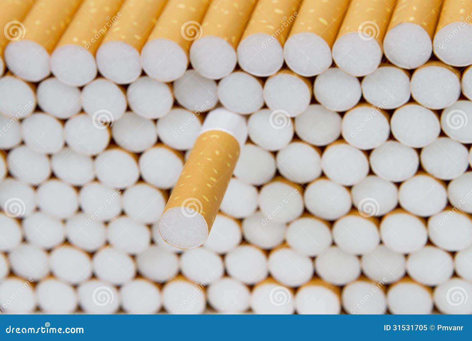 Line of Cigarettes 3 stock image. Image of company, cigarettes - 31531705