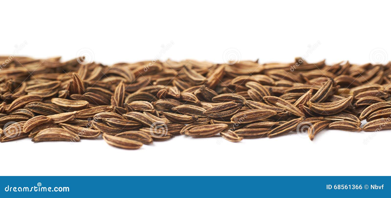 Line of Cumin Seeds Isolated Stock Photo - Image of organic, studio ...