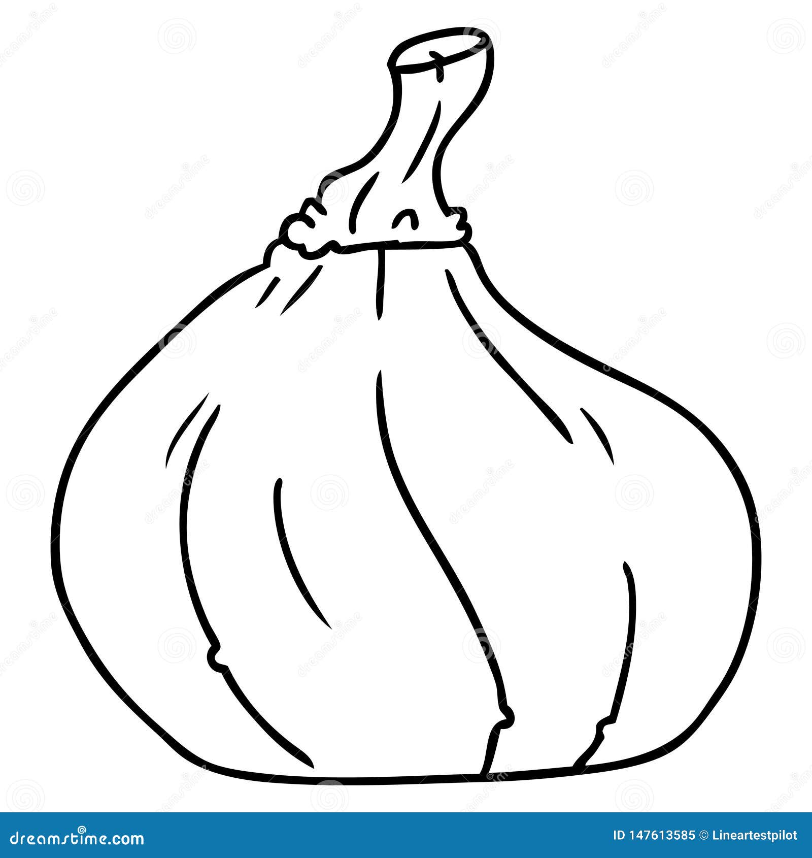 Line Drawing Doodle of a Squash Stock Vector - Illustration of home ...