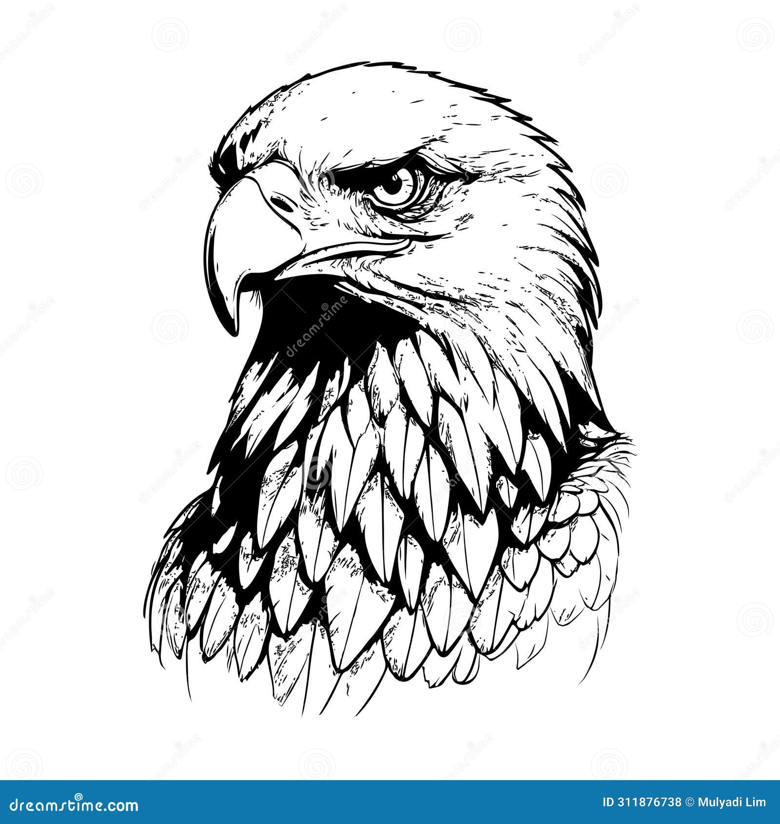 Line Drawing of Eagle Head with Fine Details Stock Vector ...