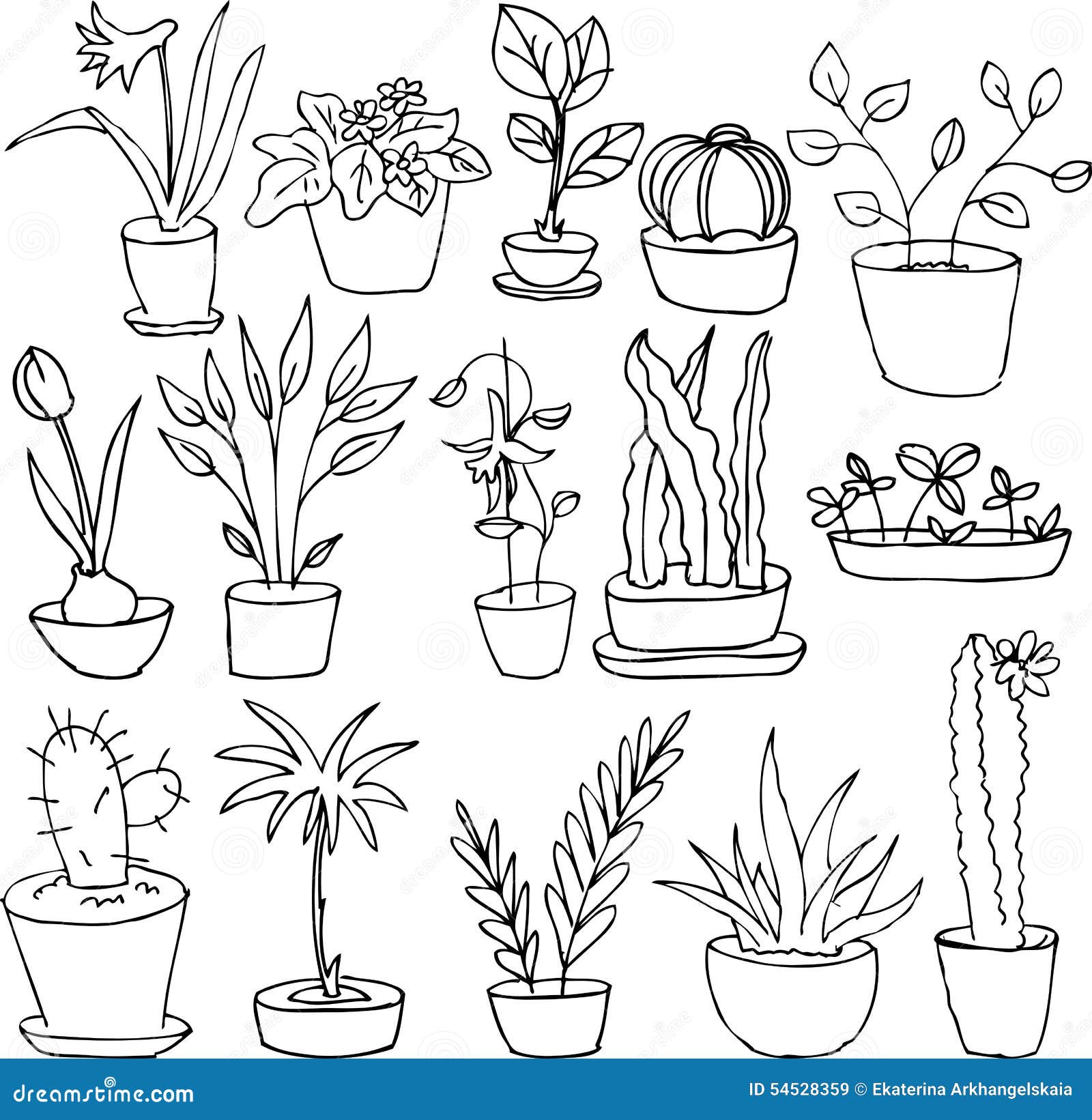 Line drawing home plants stock vector. Illustration of gardening - 54528359