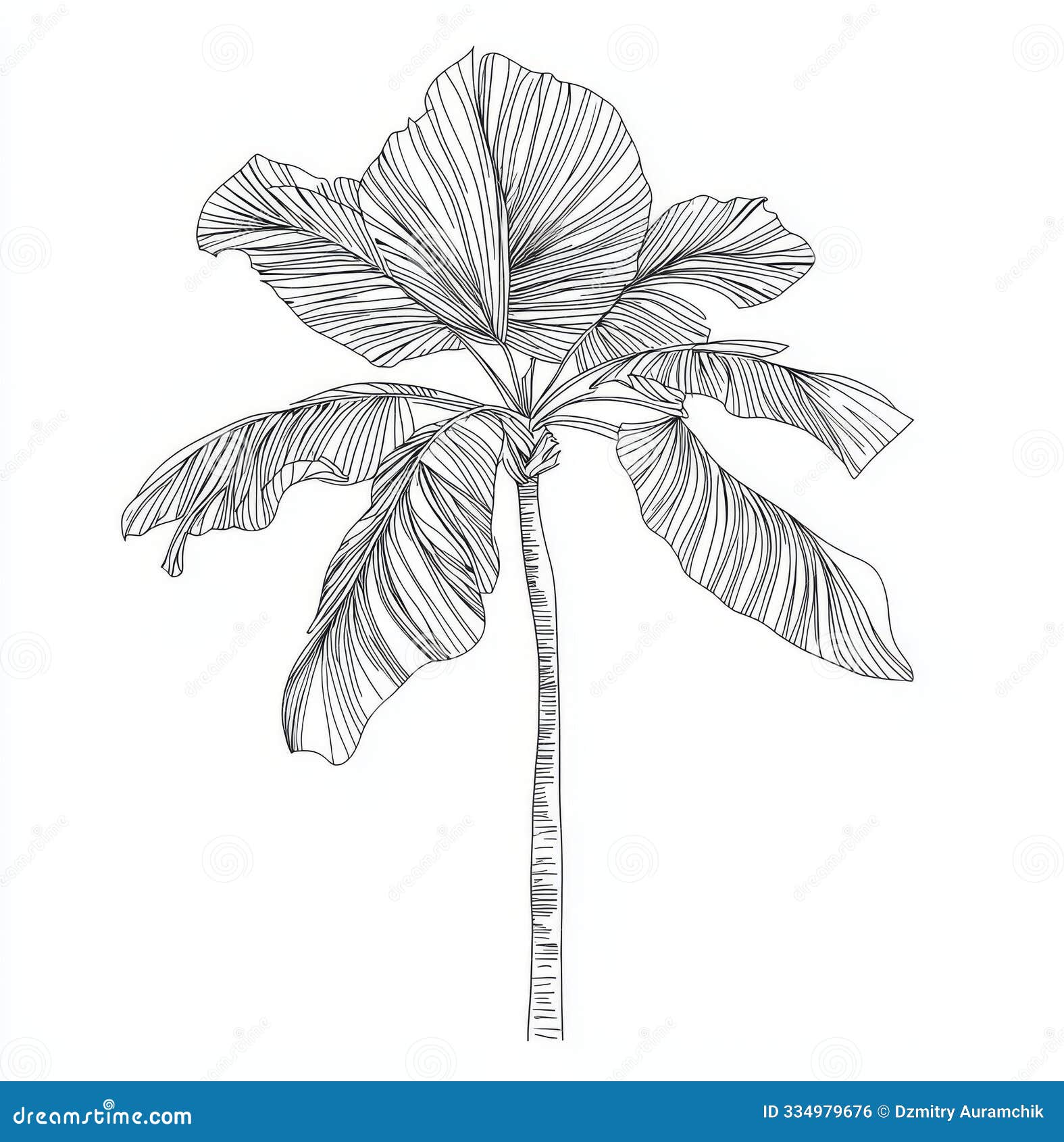 A Line Drawing of a Palm Tree in Abstract Minimalism. Stock Photo ...