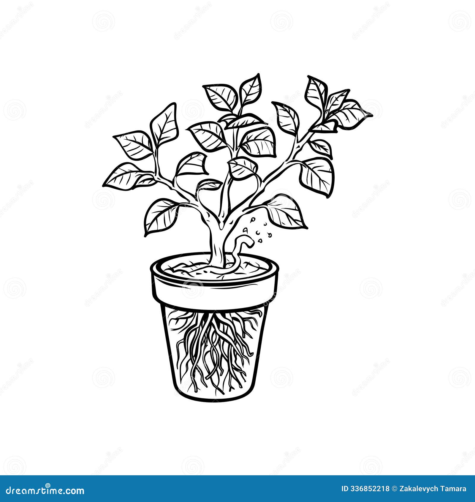 Line Drawing of Potted Plant with Visible Roots. Vector Illustration ...