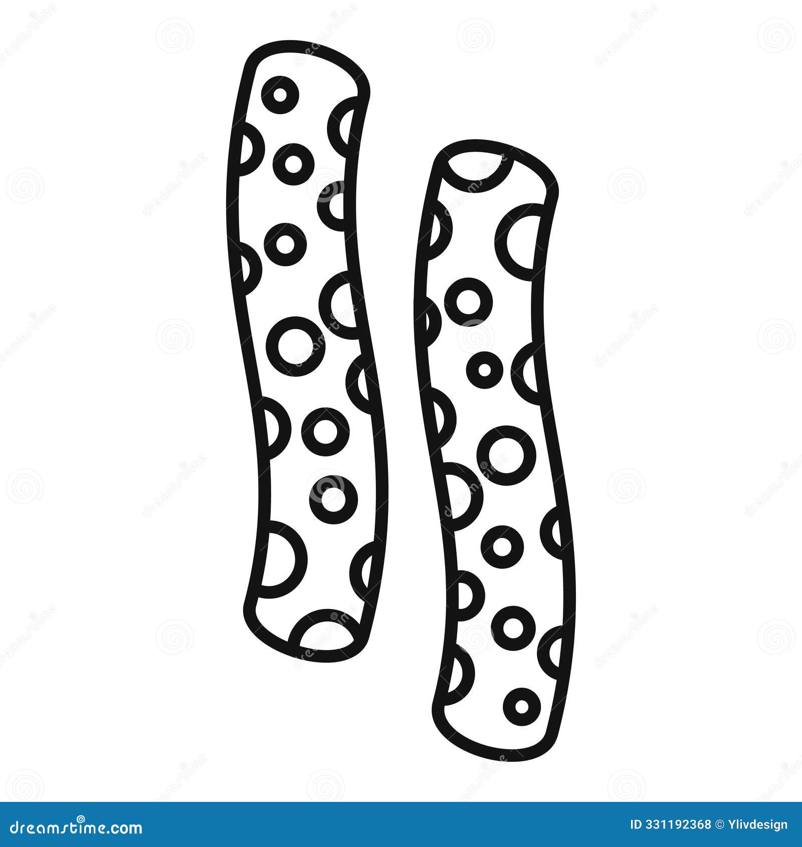 Shigella Bacteria Showing Flagella and Cell Wall Structure for ...