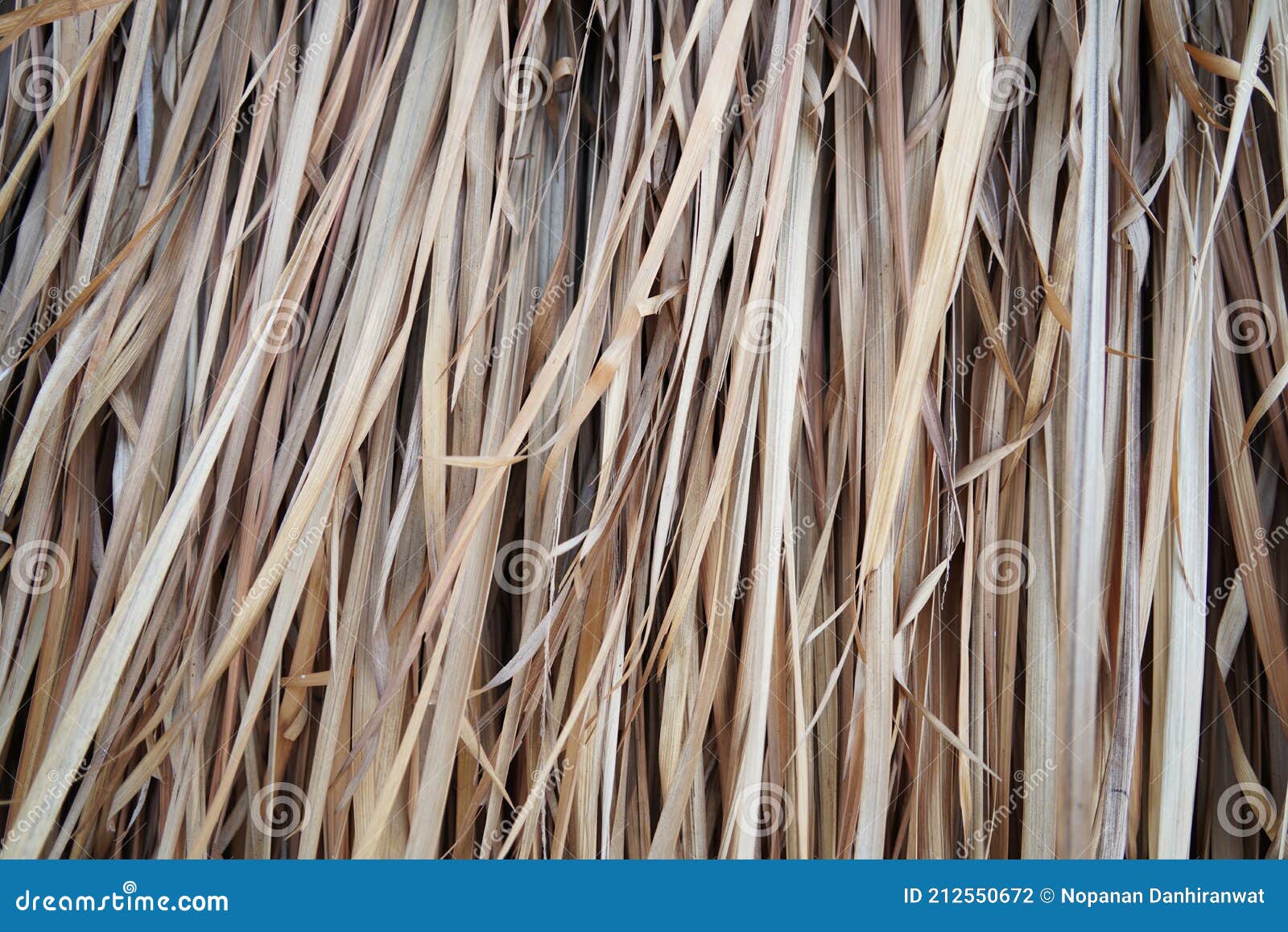 Striated Patterns or the Texture of Dry Straw Stock Photo - Image of ...