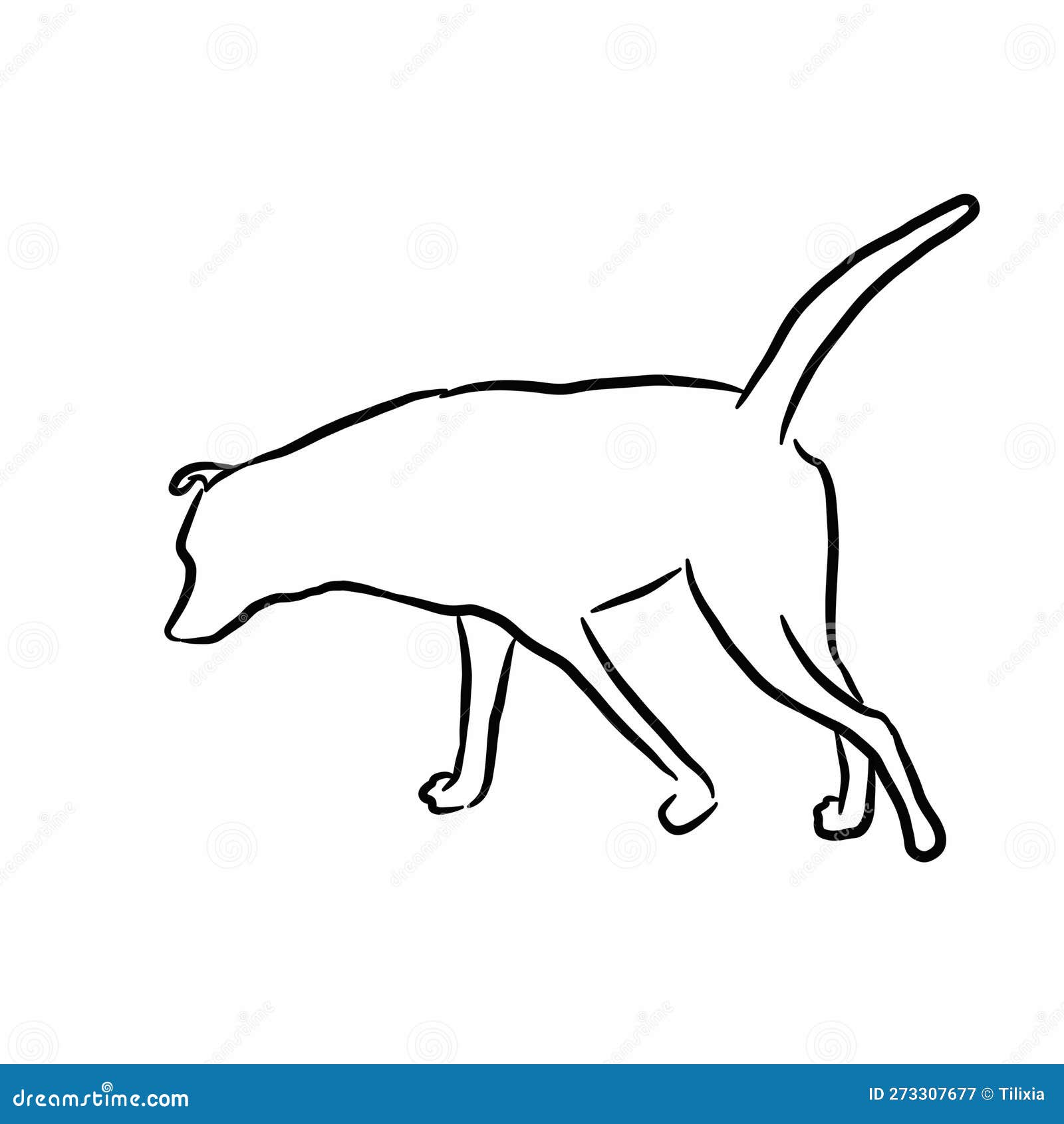 Line Drawing of a Walking Dog Stock Illustration - Illustration of high ...