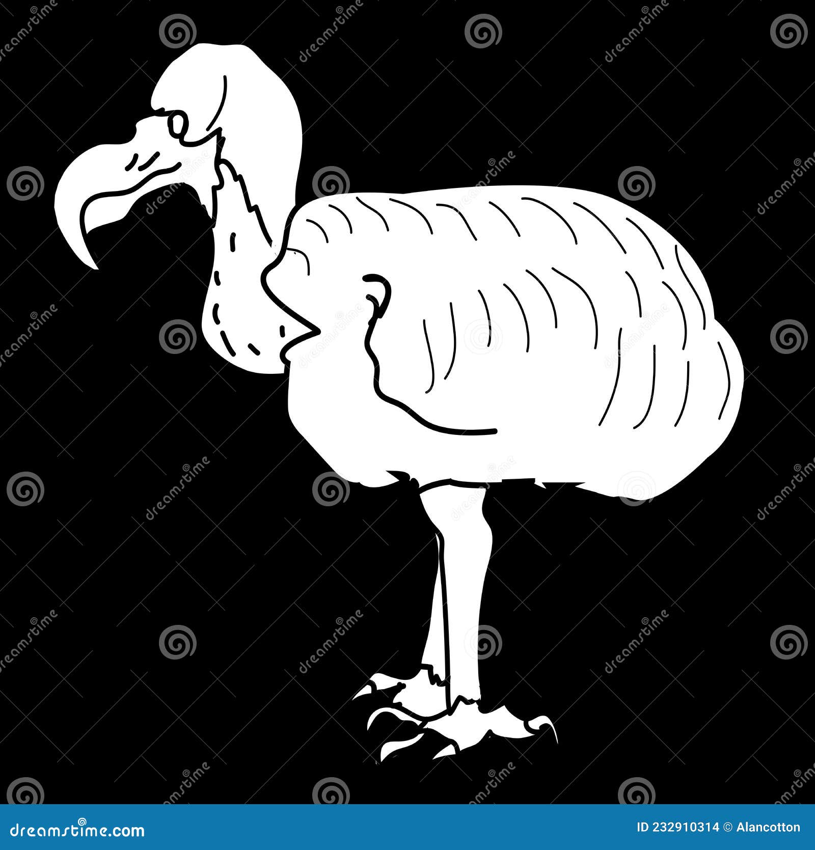 Extinct Dodo, Raphus Cucullatus In Side View Standing On The Ground ...