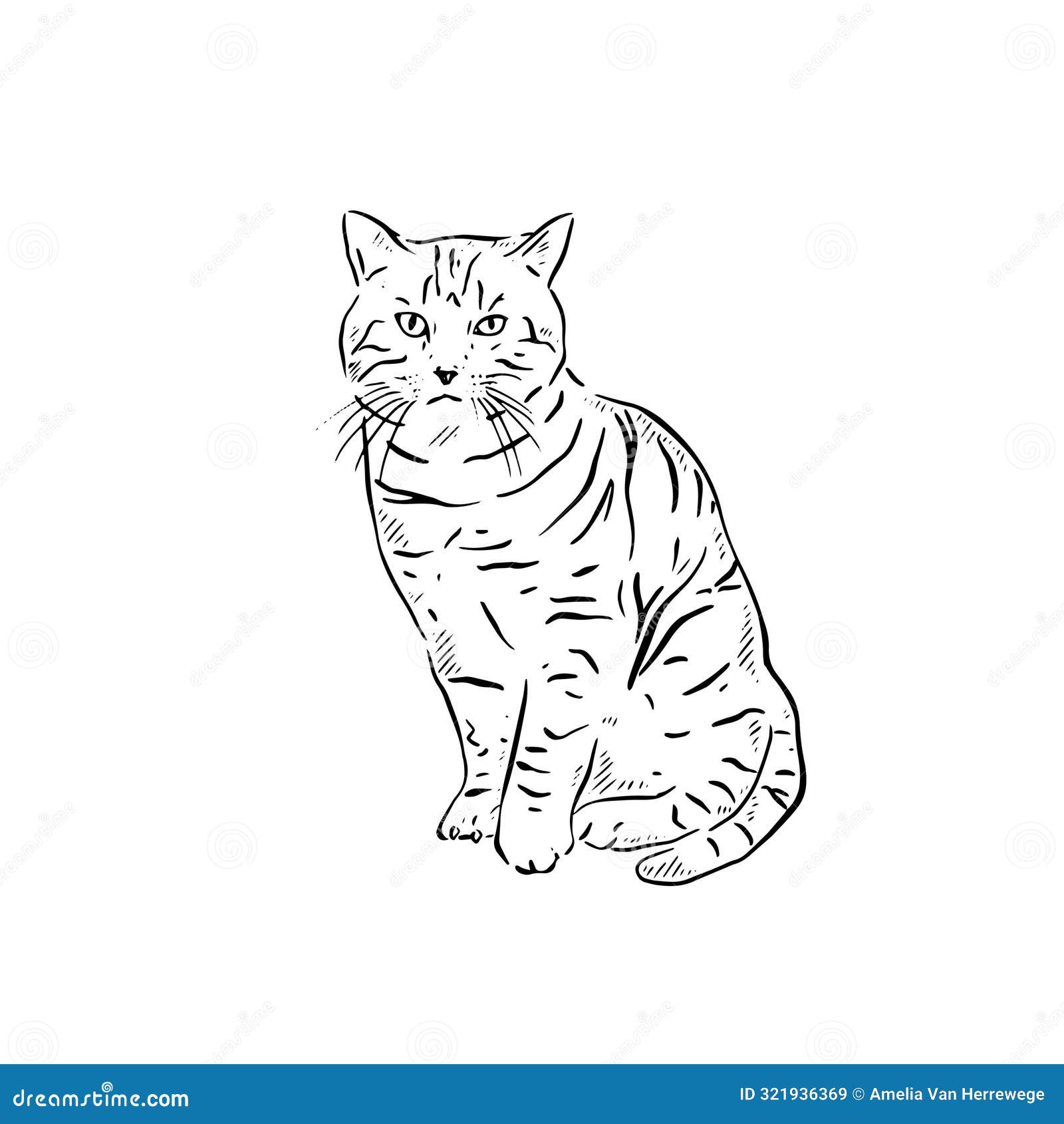 Tabby Cat Illustration in Black and White Stock Vector - Illustration ...