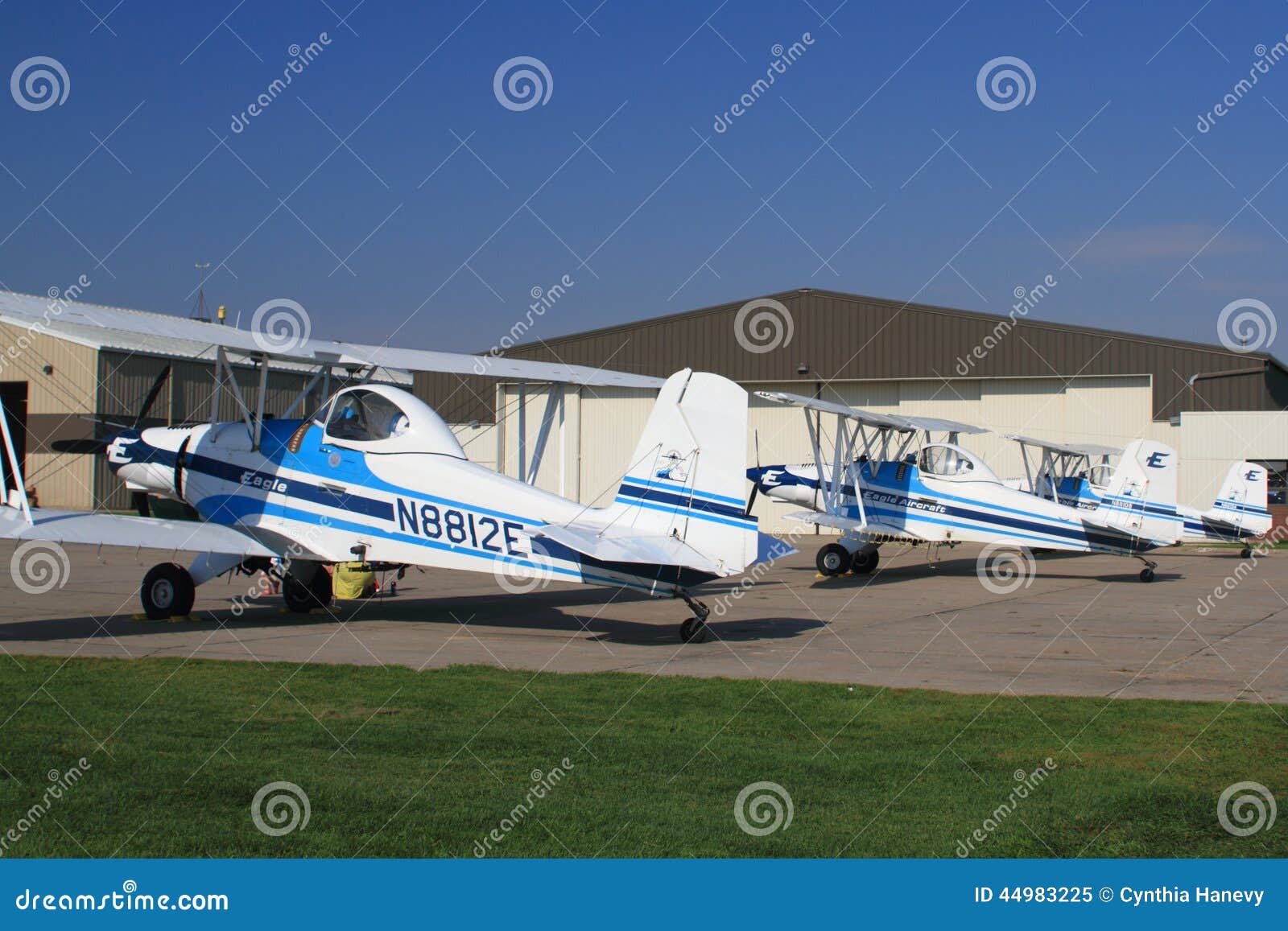 Line of Eagle aircraft editorial image. Image of outside - 44983225