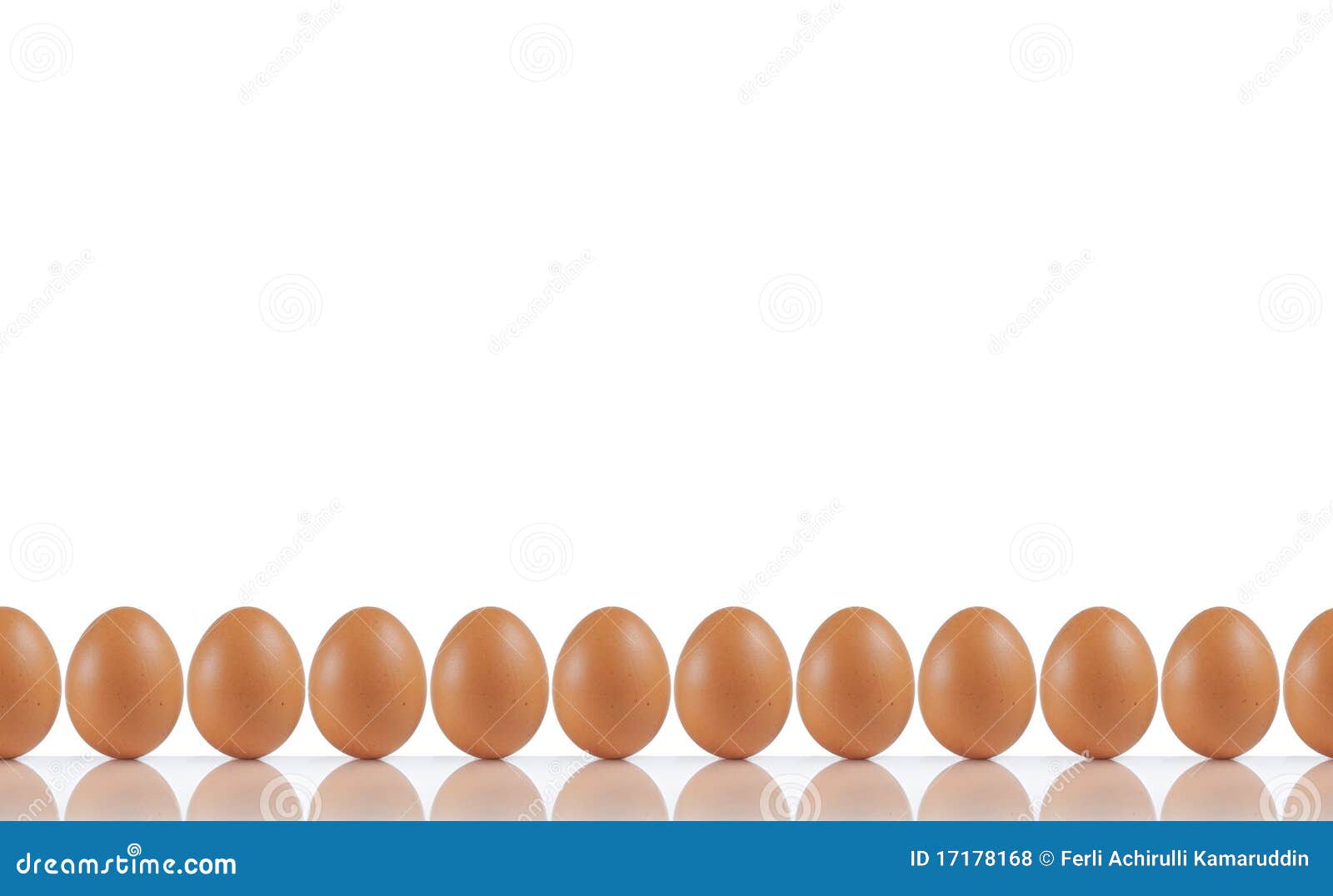 Line of eggs stock photo. Image of ingredient, delicious - 17178168