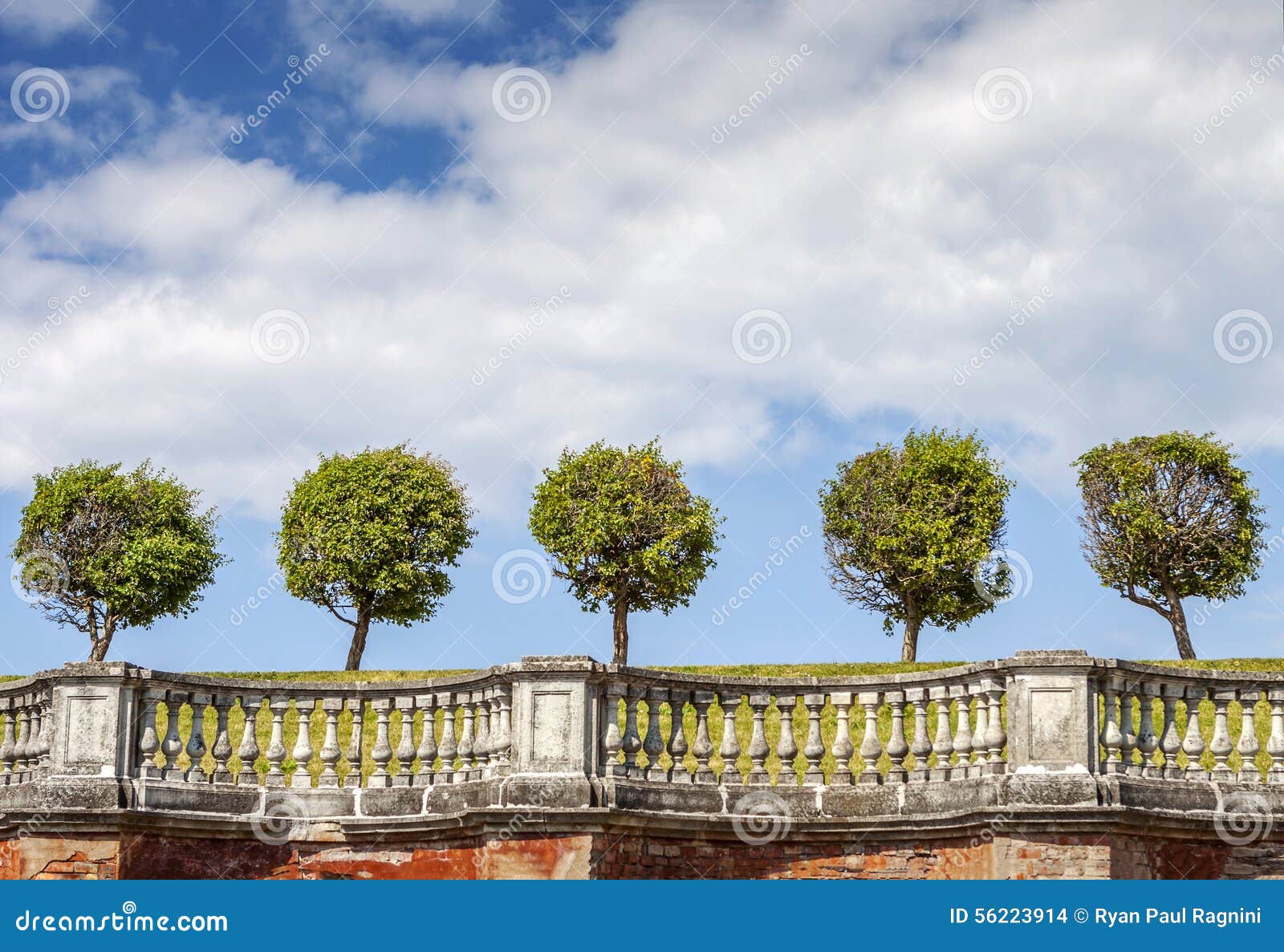 Line of five trees stock photo. Image of clouds, blue - 56223914