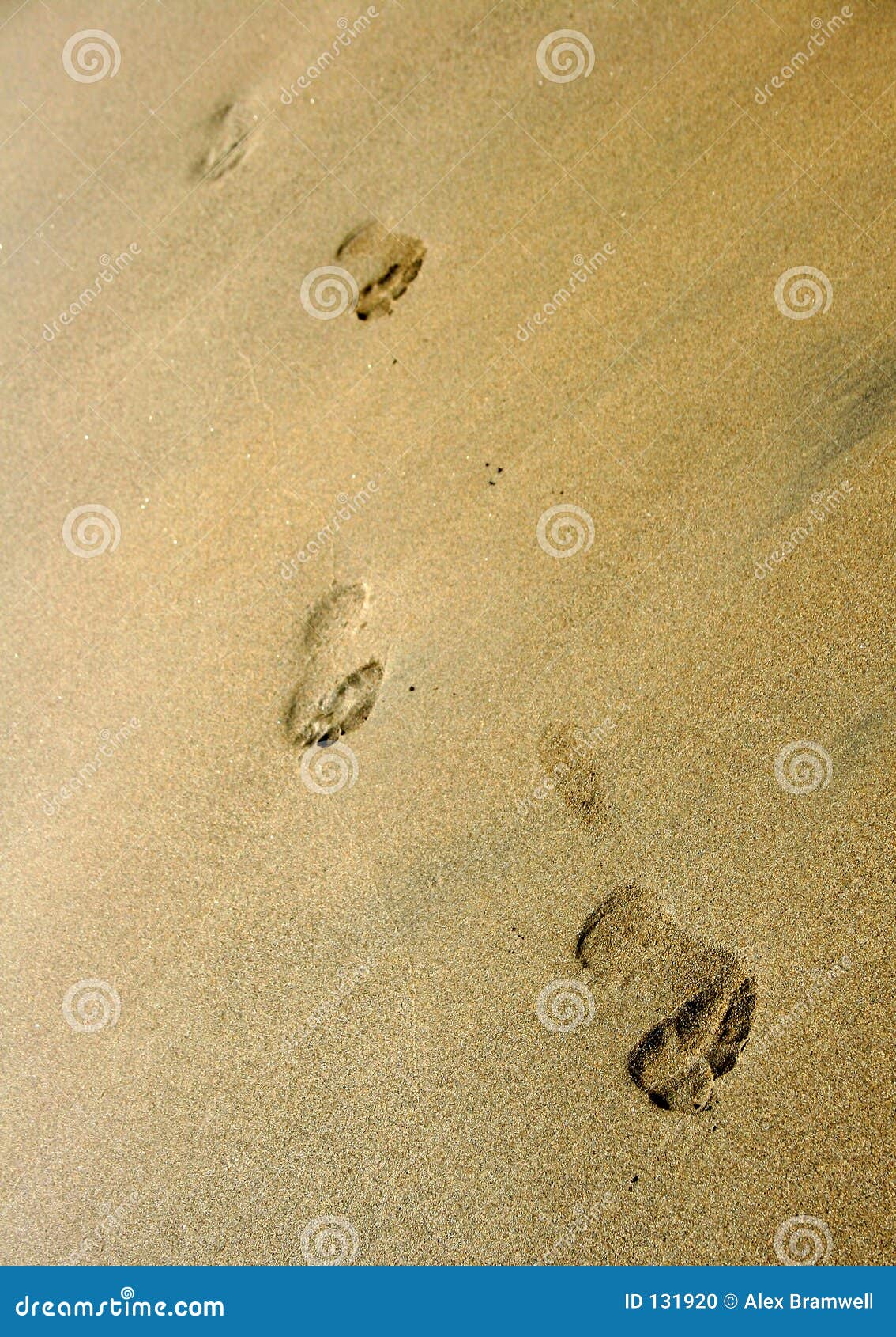 Line of Footprints stock photo. Image of holiday, feet - 131920
