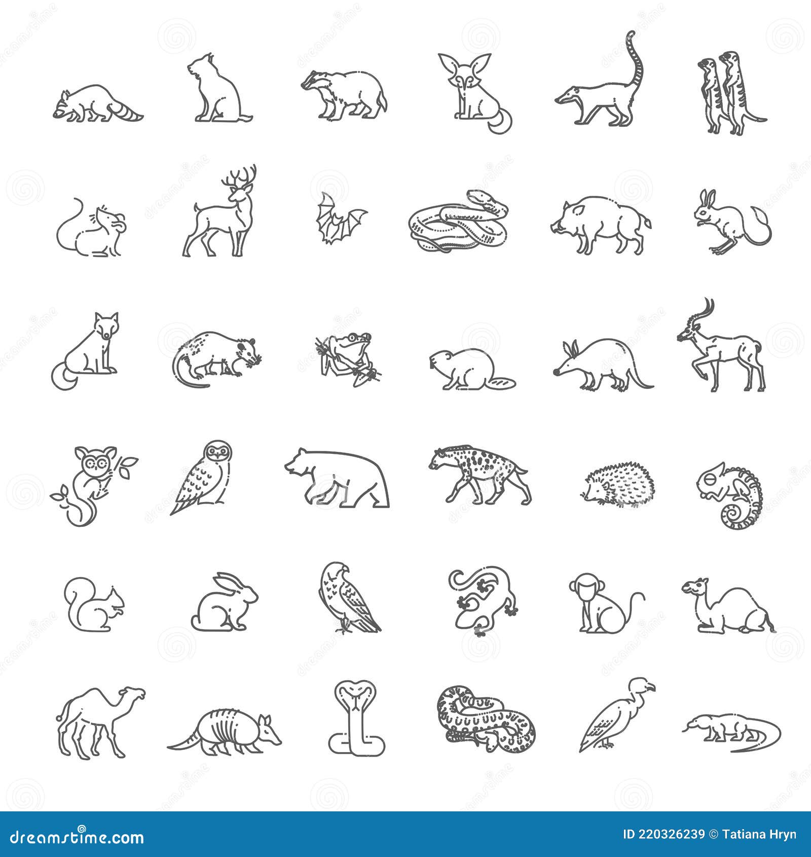 Vector. Set of Linear Vector Forest and Desert Animals Stock Vector ...
