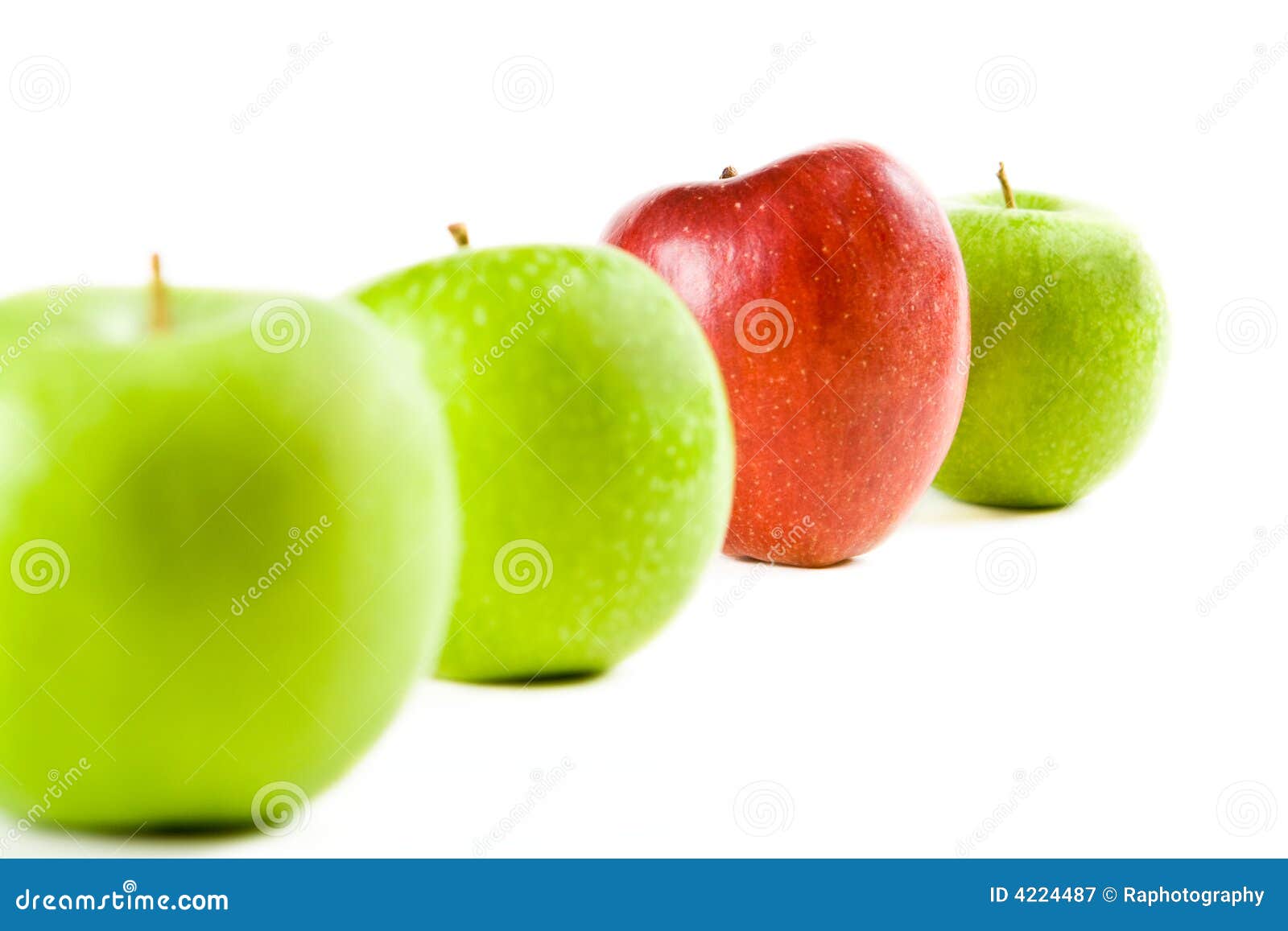 A line of fresh apples stock image. Image of harvest, food - 4224487