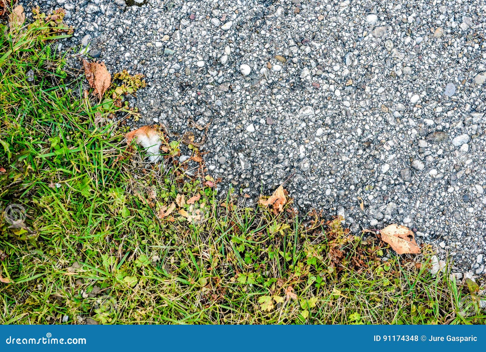 Line between Grass and Asphalt Outside on the Road Texture. Stock Photo ...