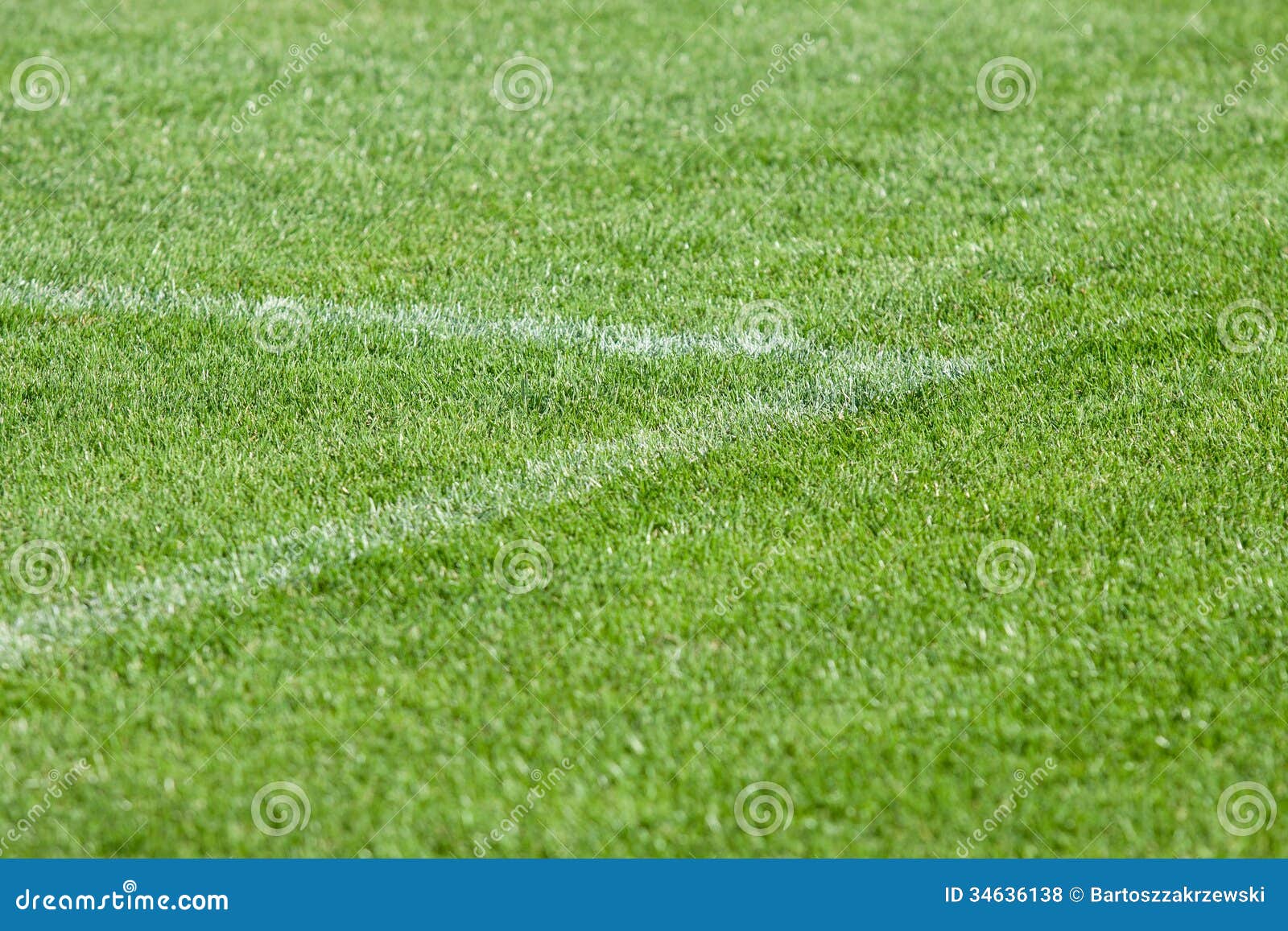 The Line on the Grass on the Football Pitch Stock Photo - Image of ...