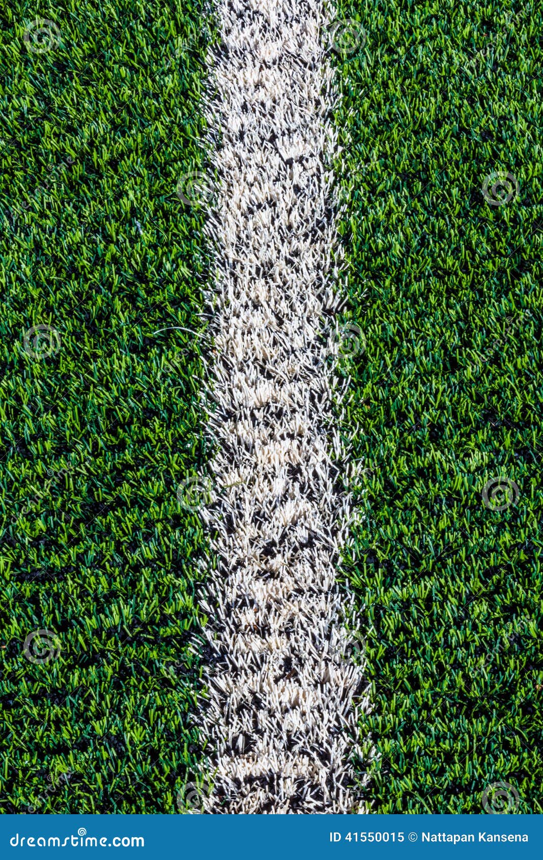 Line on the green grass stock image. Image of natural - 41550015