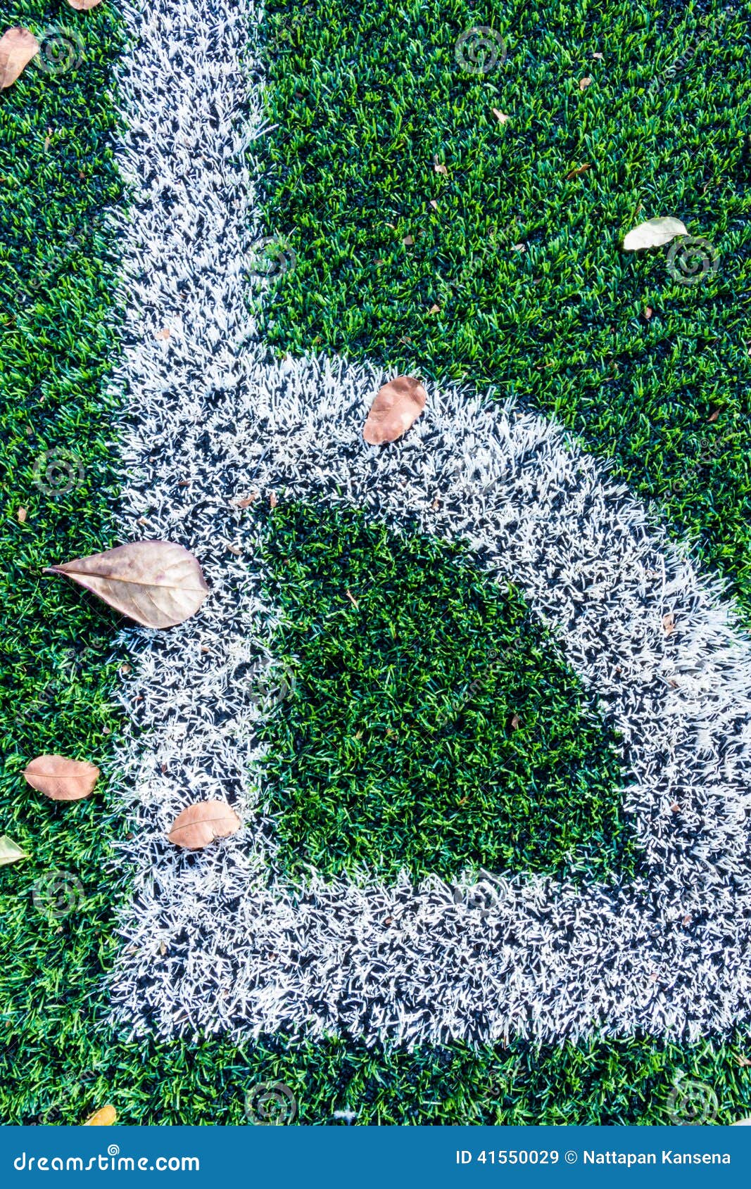 Line on the green grass stock image. Image of light, outdoors - 41550029