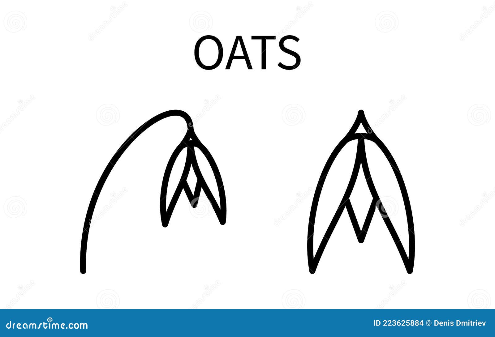 Line Icon Oat in a Simple Style. Vector Sign in a Simple Style Isolated ...
