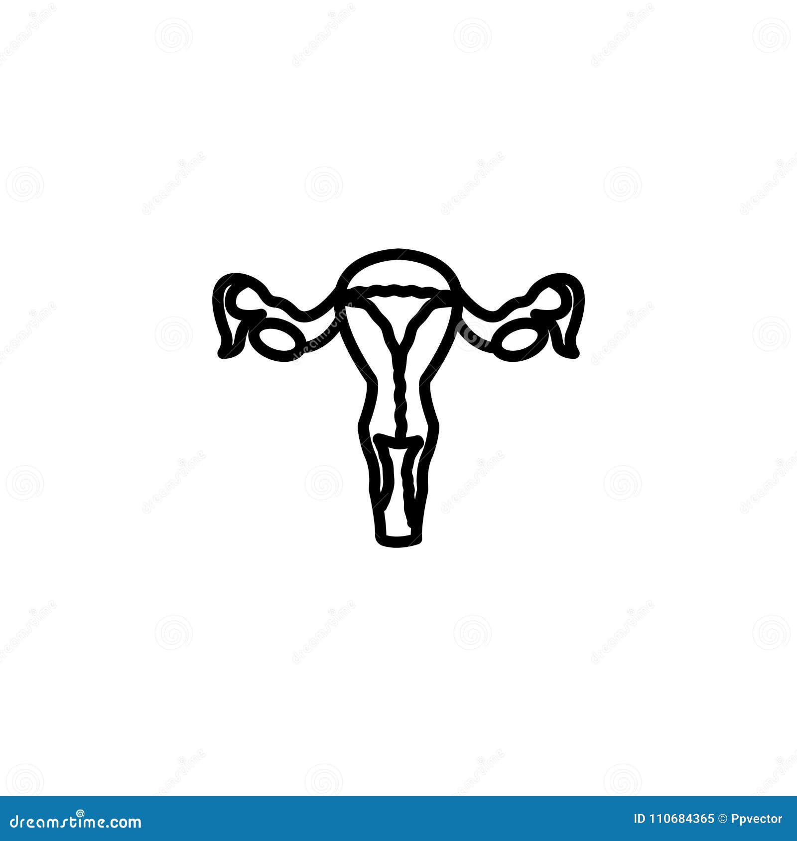 Line icon. Uterus symbol stock vector. Illustration of endometrium ...