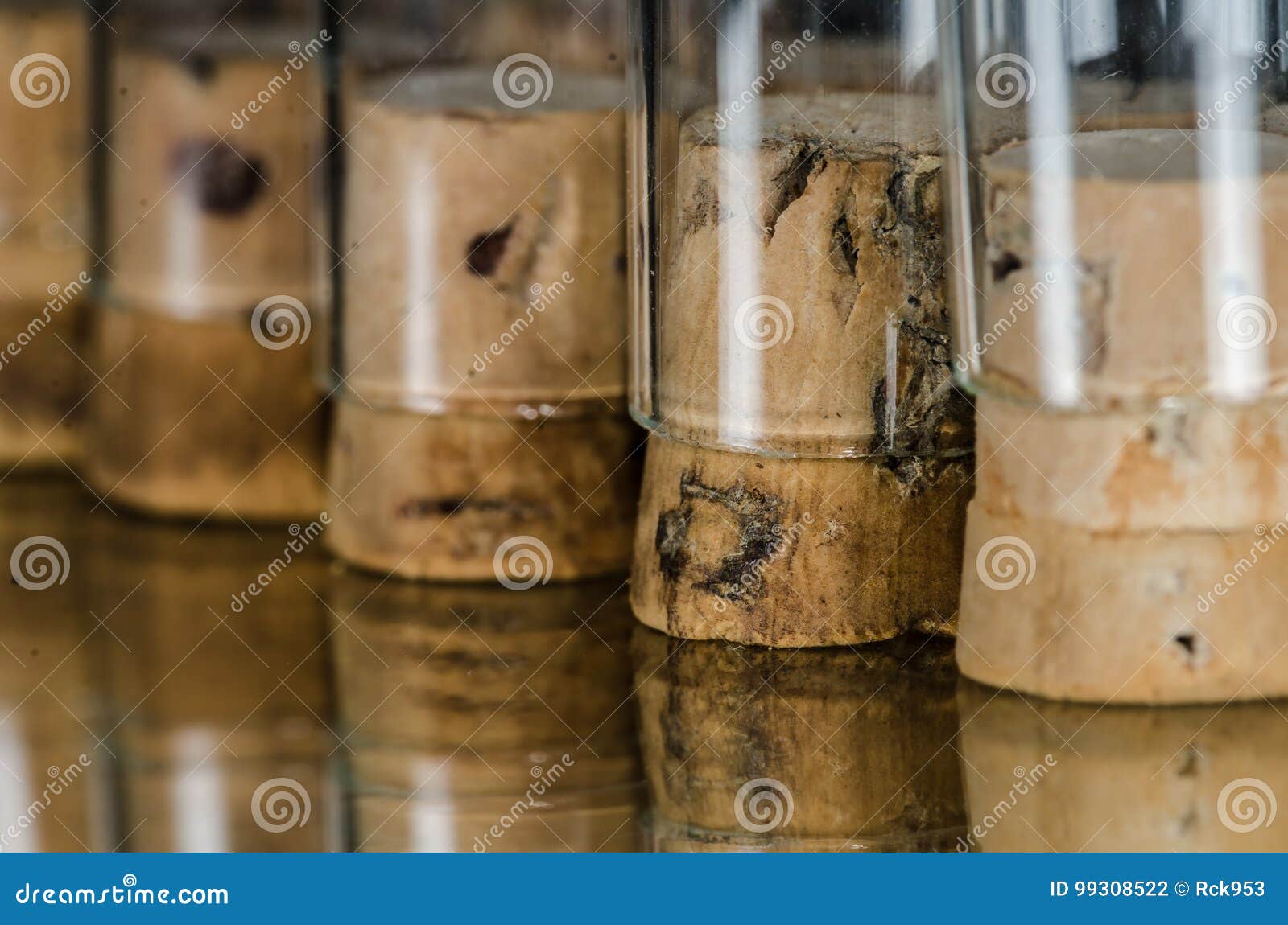 Inverted Corked Vials Standing in a Row Stock Photo - Image of standing ...