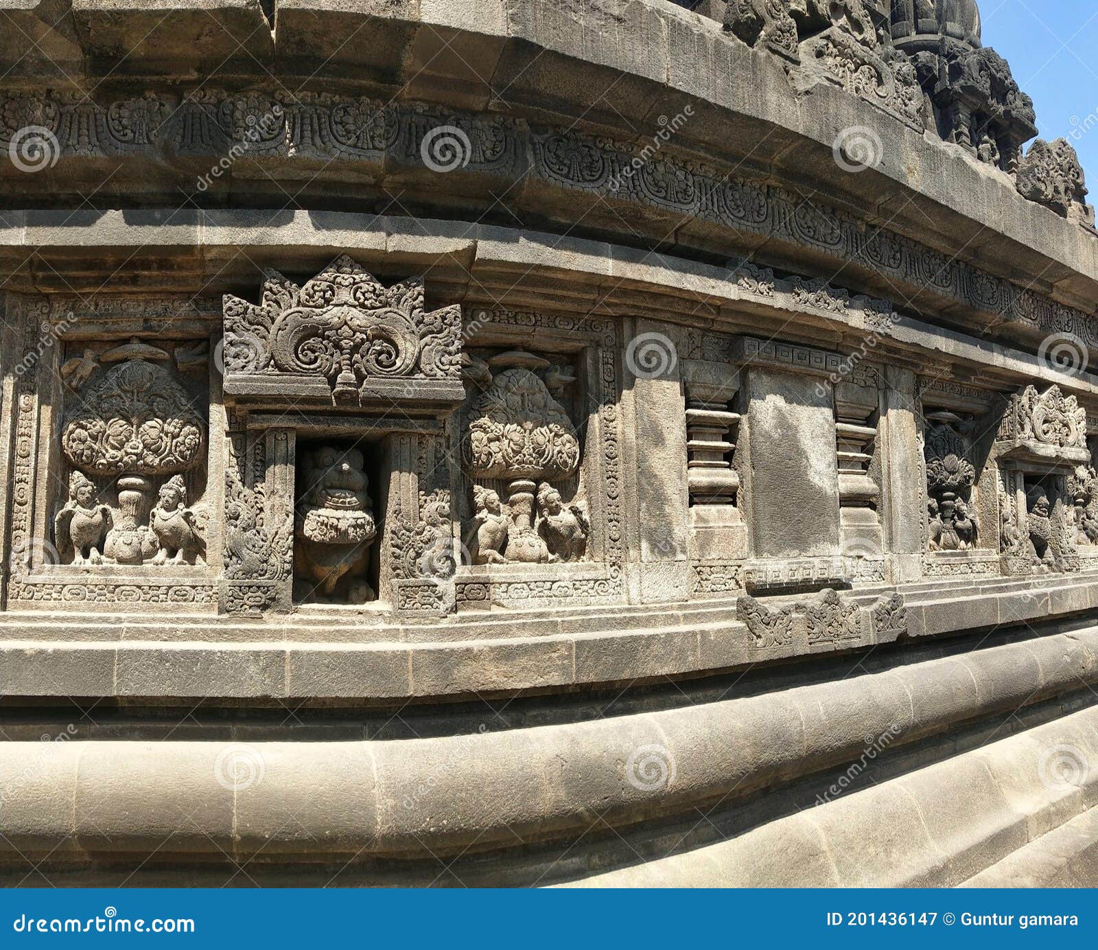 Line of Keratom Tree in Pontianak Stock Image - Image of pontianak ...