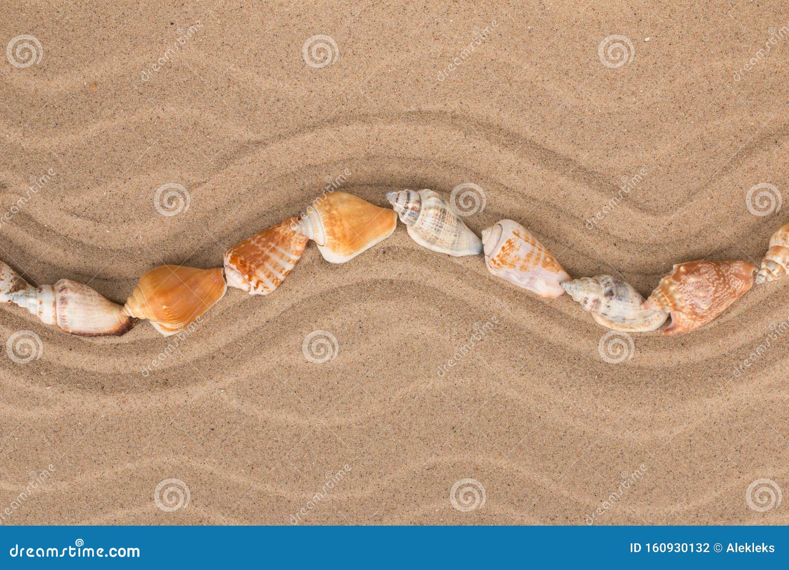 Line Made of Seashells Lying Zigzag on the Dunes. Top View Stock Photo ...
