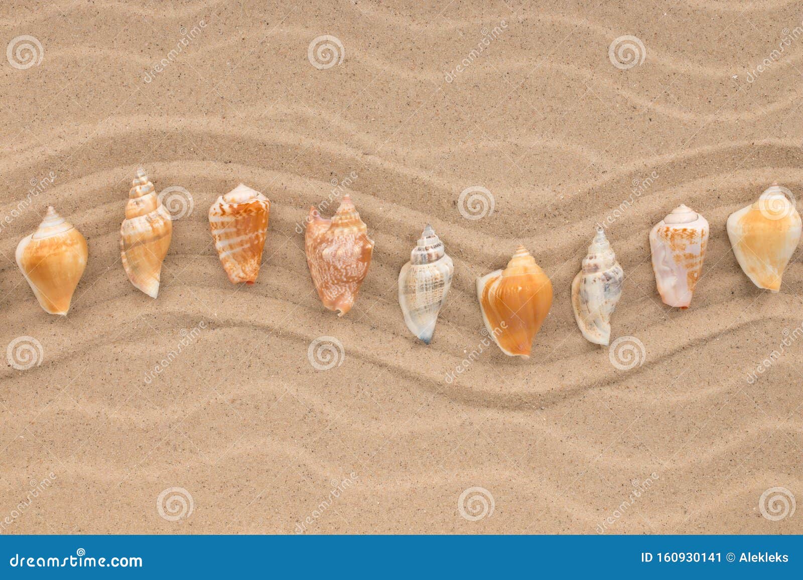 Line Made of Seashells Lying Zigzag on the Dunes. Top View Stock Image ...