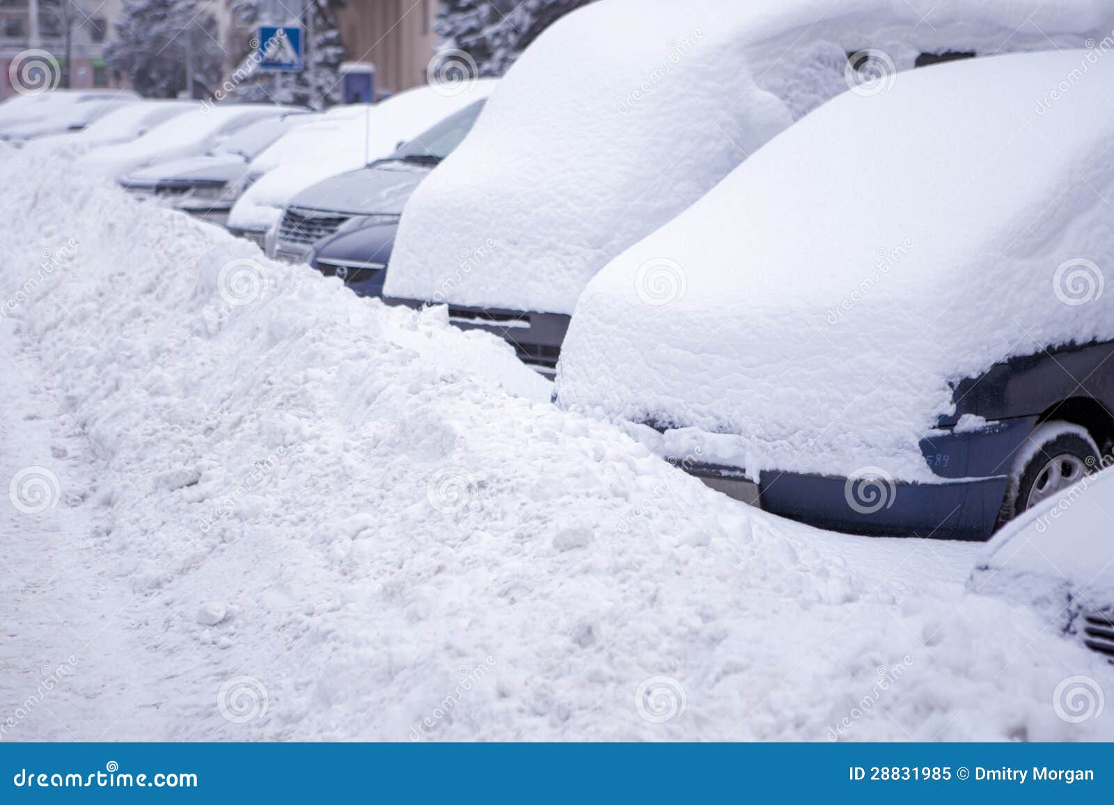 Line Made of Vehicles Covered with Snow Stock Image - Image of extreme ...