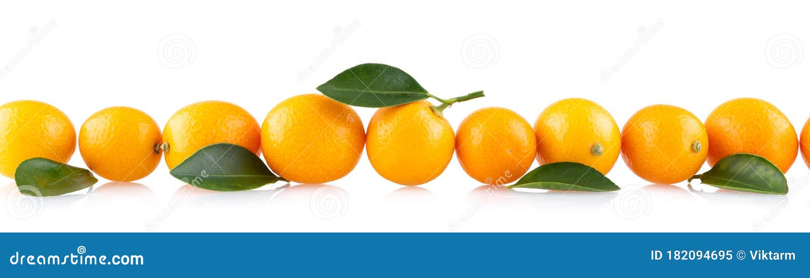 Line of mandarins stock image. Image of health, eating - 182094695