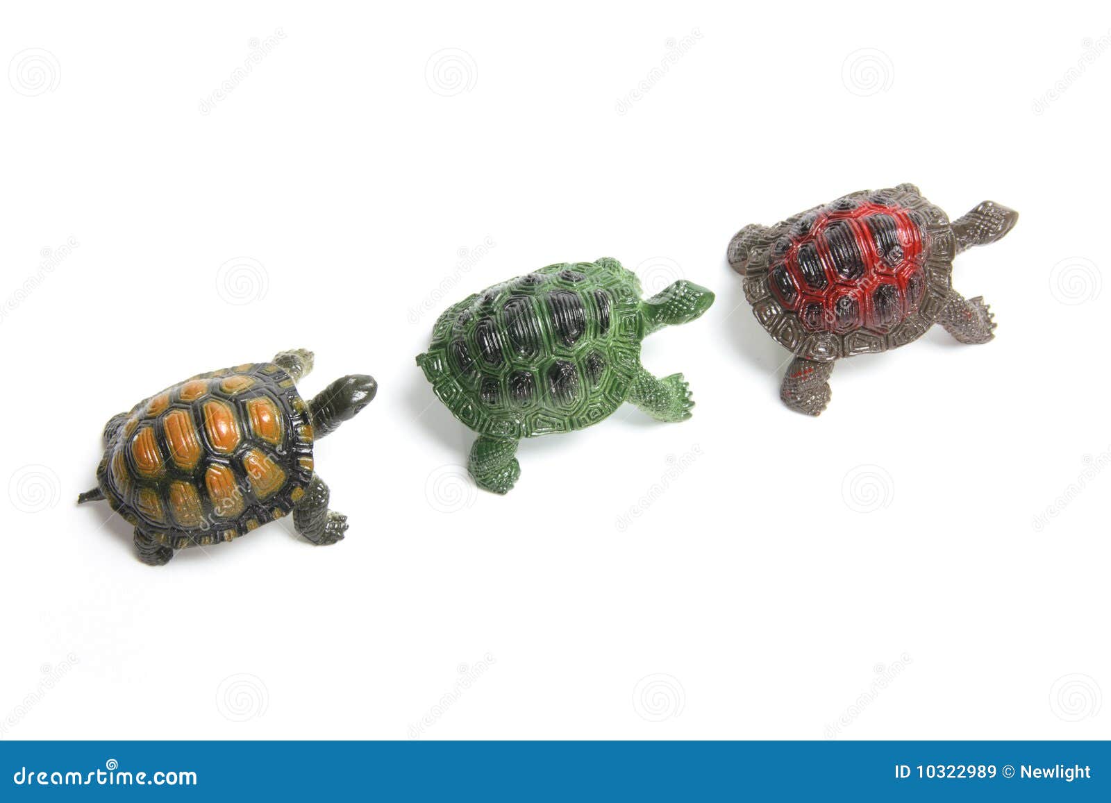 Line of Miniature Tortoises Stock Image - Image of terrapins, white ...