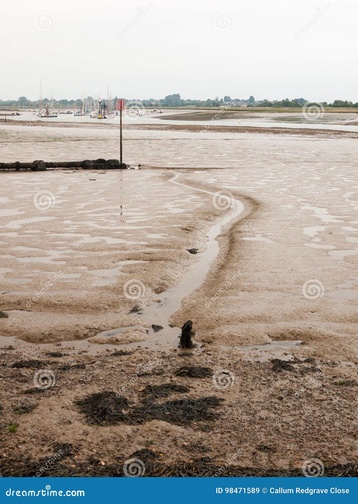 A Line in the Mud at the Beach River Stock Image - Image of scenery ...