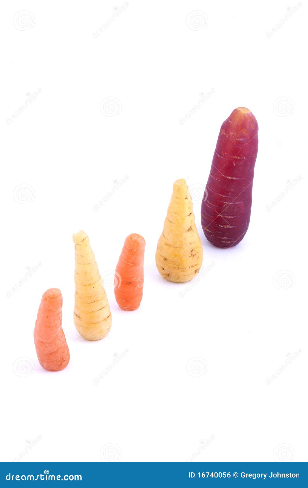 Line of Multi Colored Carrots. Stock Photo - Image of vegetable ...