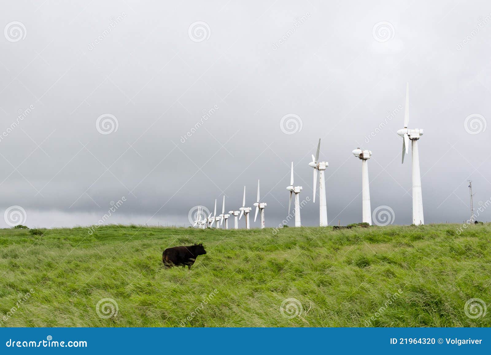 Old Abandoned Wind Turbines In The Desert Landscape Stock Image ...